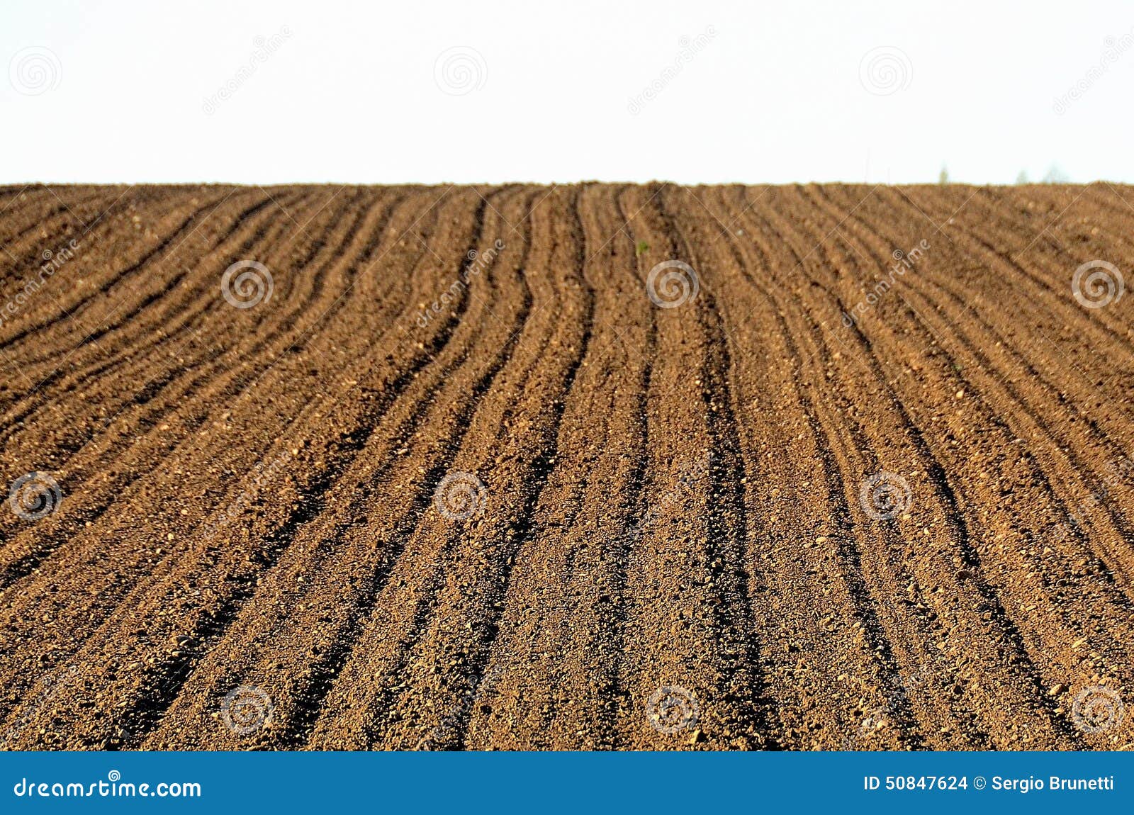 Plowed field stock photo. Image of nature, agriculture - 50847624