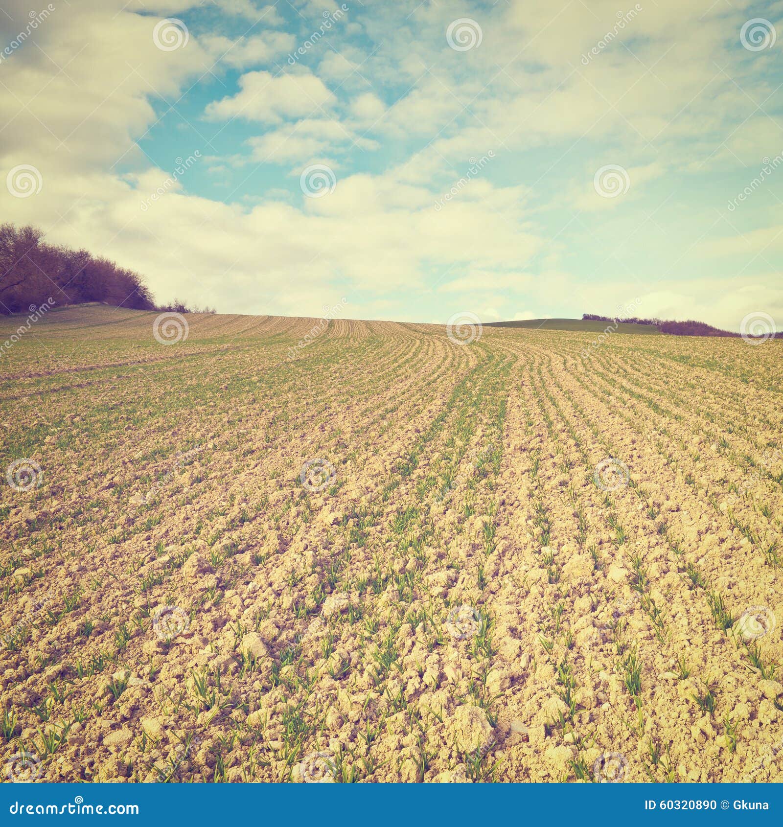 Plowed Field stock photo. Image of abstract, filter, field - 60320890