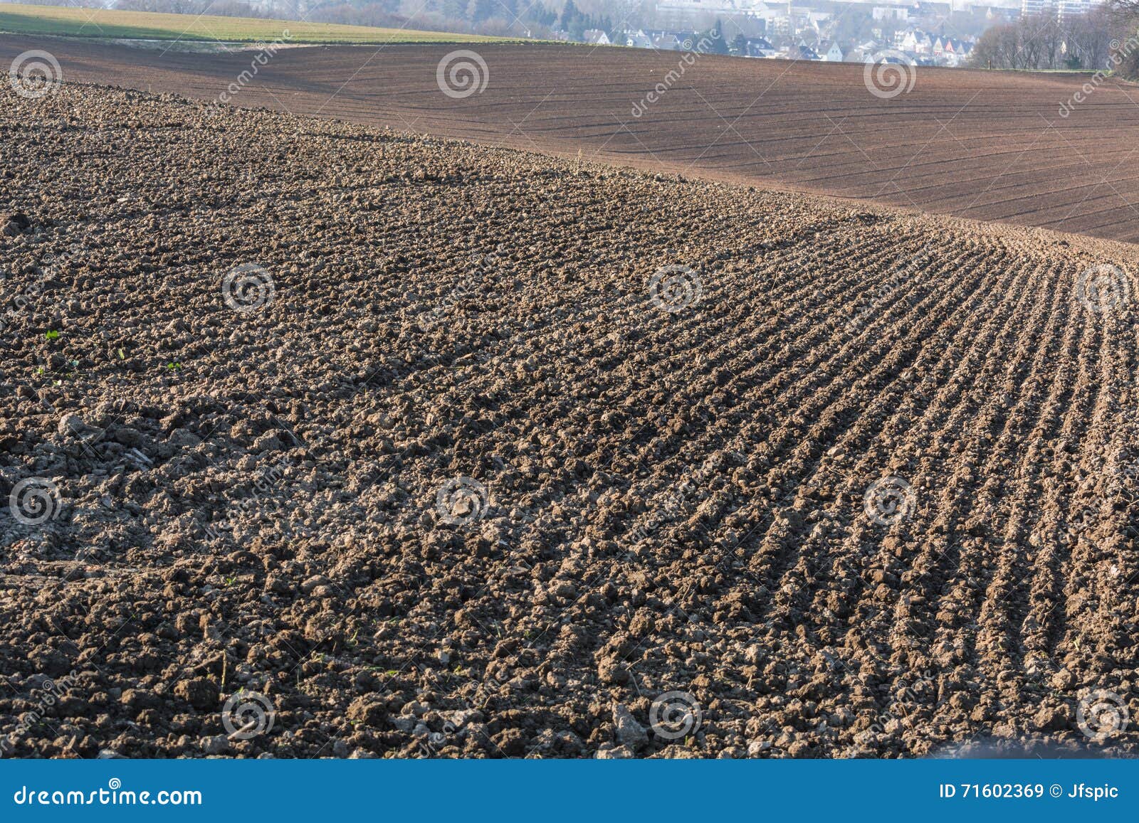 Plowed field with furrows stock image. Image of farming - 71602369