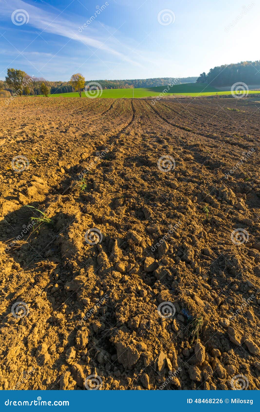 Plowed Field in Golden Light Landscape Stock Photo - Image of field ...