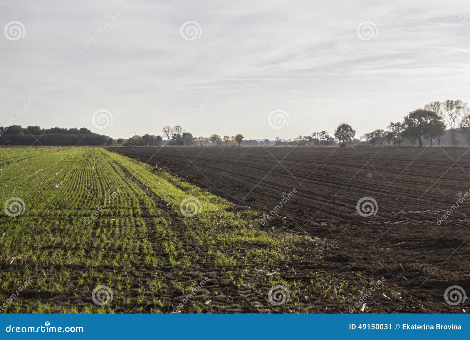 Plowed field stock image. Image of agriculture, brown - 49150031