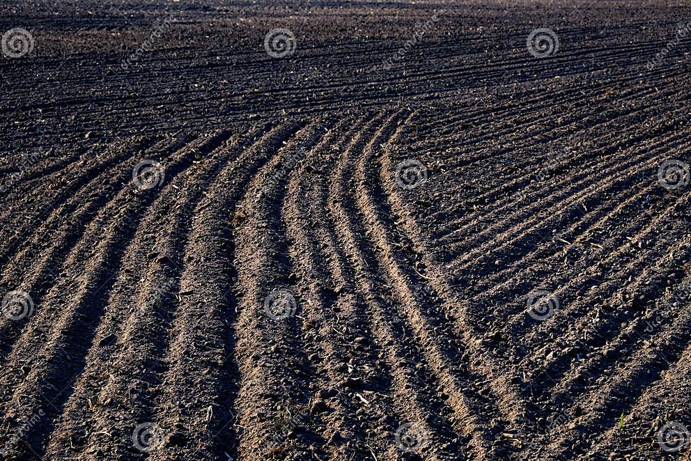 A Plowed Field with Neat Rows of Soil Stock Image - Image of ground ...