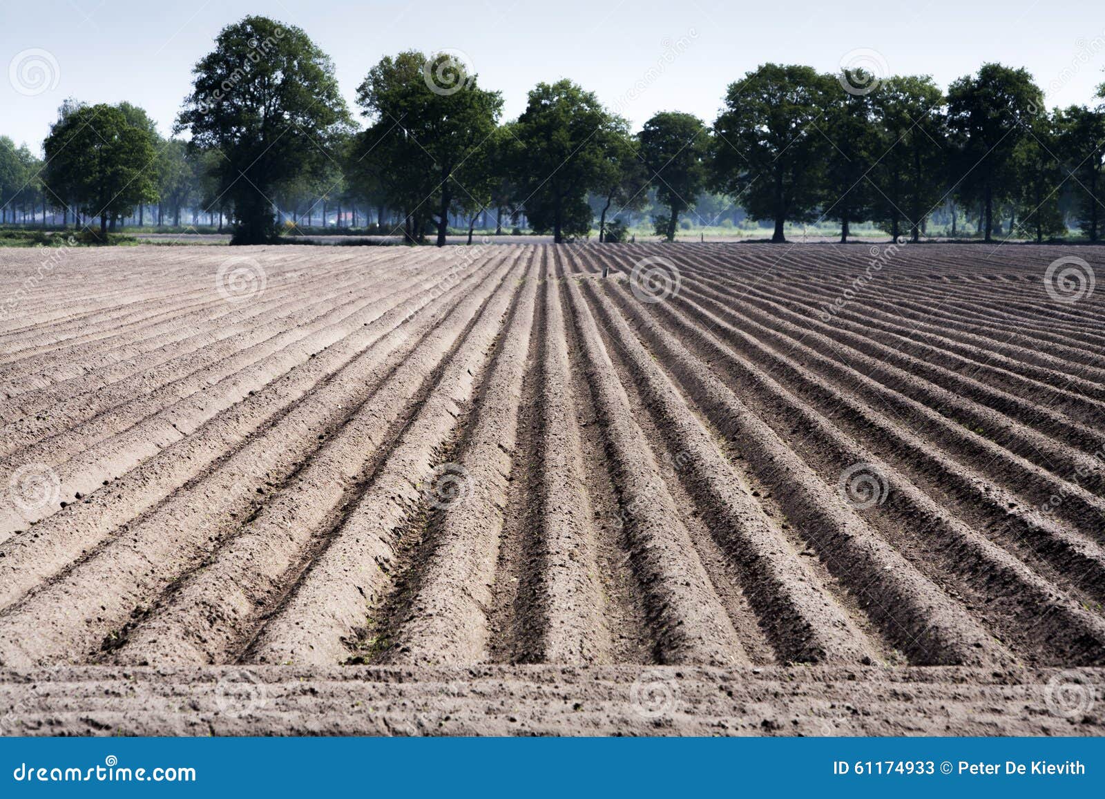 Plowed field stock image. Image of nature, netherlands - 61174933