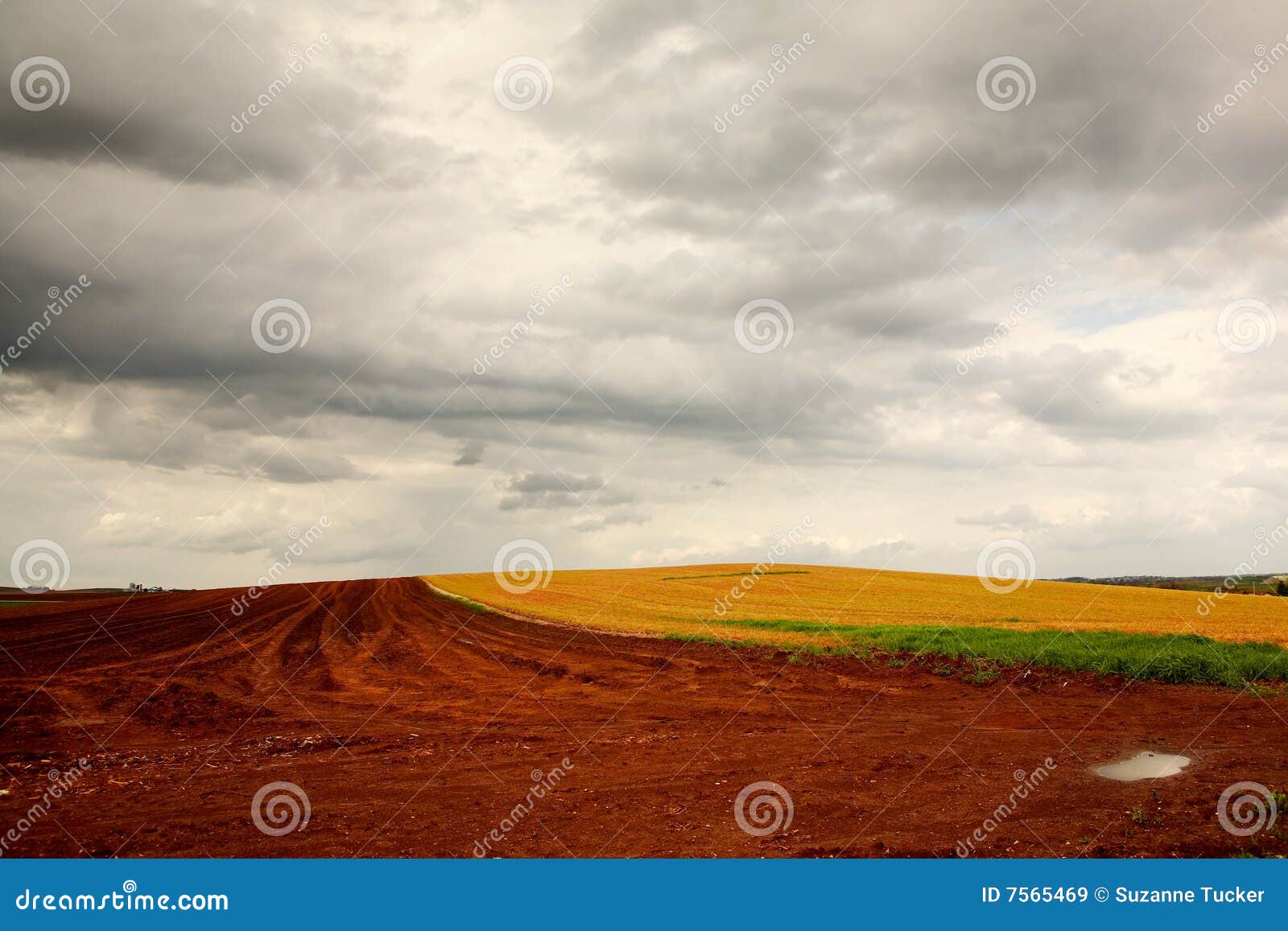 Plowed Field after a Rain Storm Stock Image - Image of country, field ...