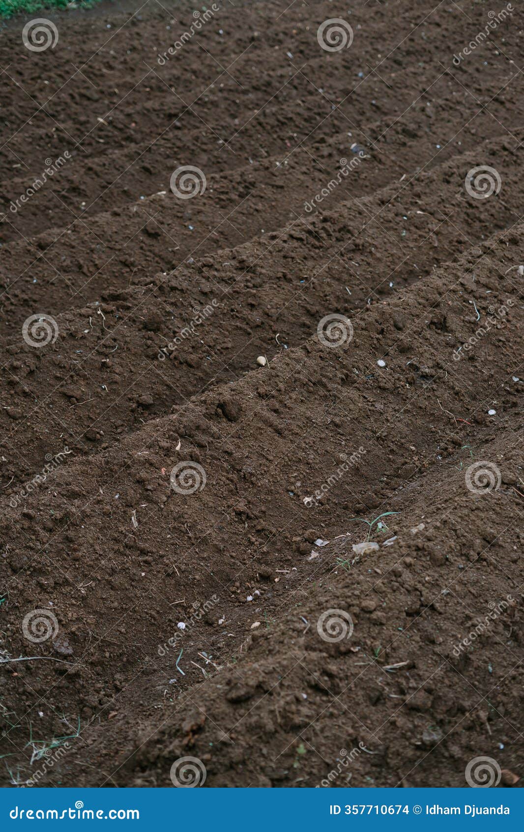 Plowed Field Ready stock photo. Image of angle, dawn - 357710674
