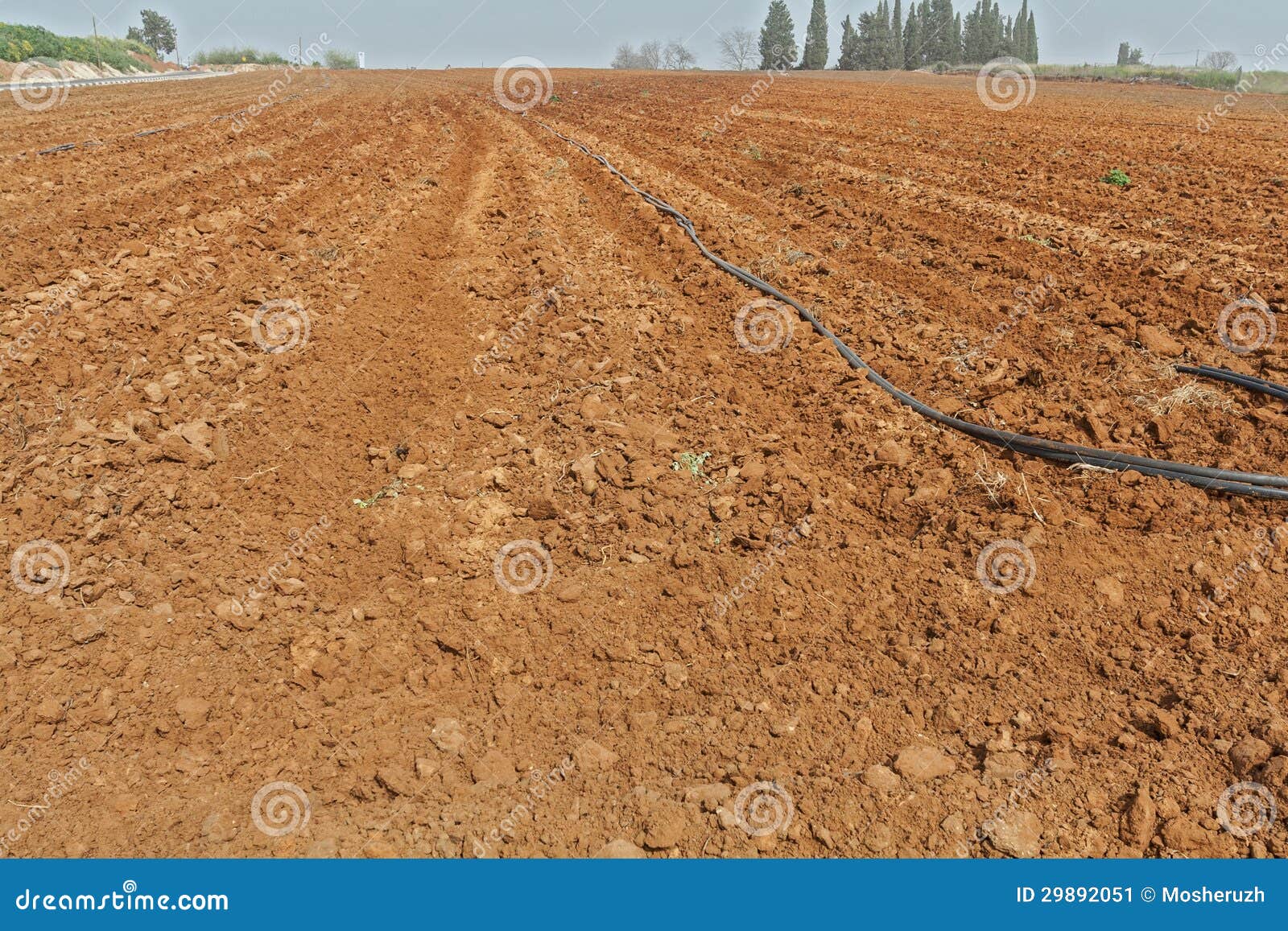 Plowed Field Ready To Receive the Seed. Stock Image - Image of ...