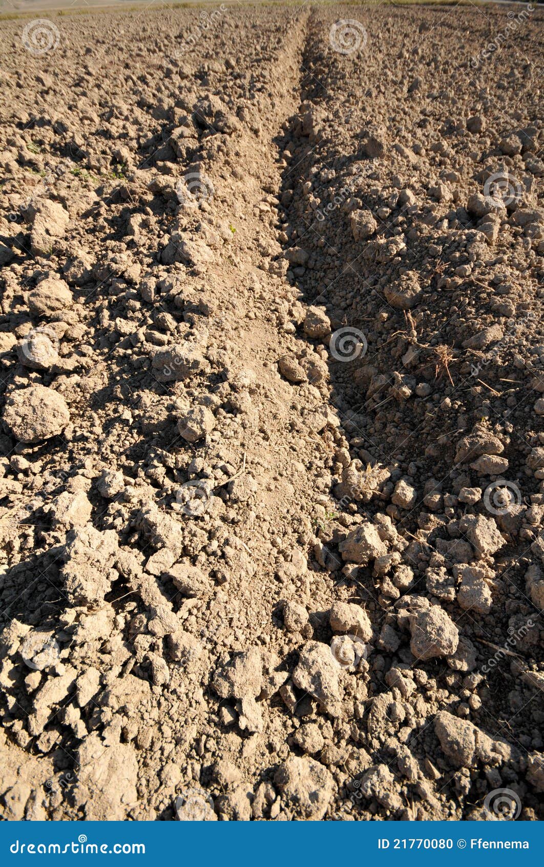 Plowed Field with a Single Row Showing Stock Photo - Image of dirt ...