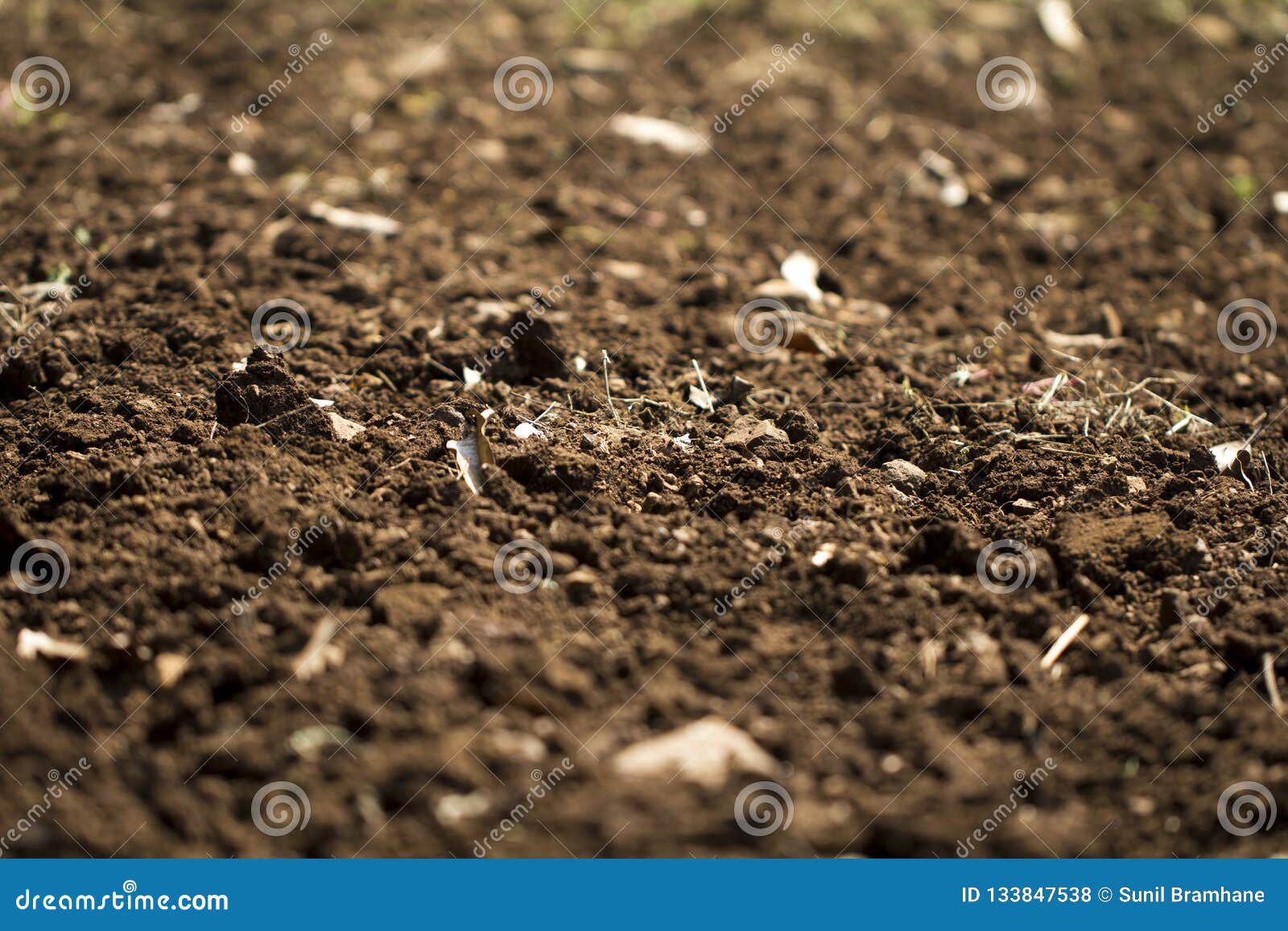 Plowed Field Soil in the Field Texture Stock Photo - Image of beautiful ...