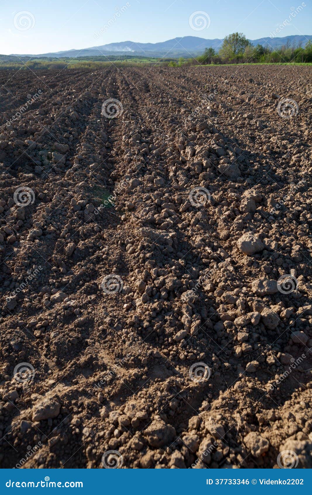 Plowed field in spring stock photo. Image of people, green - 37733346