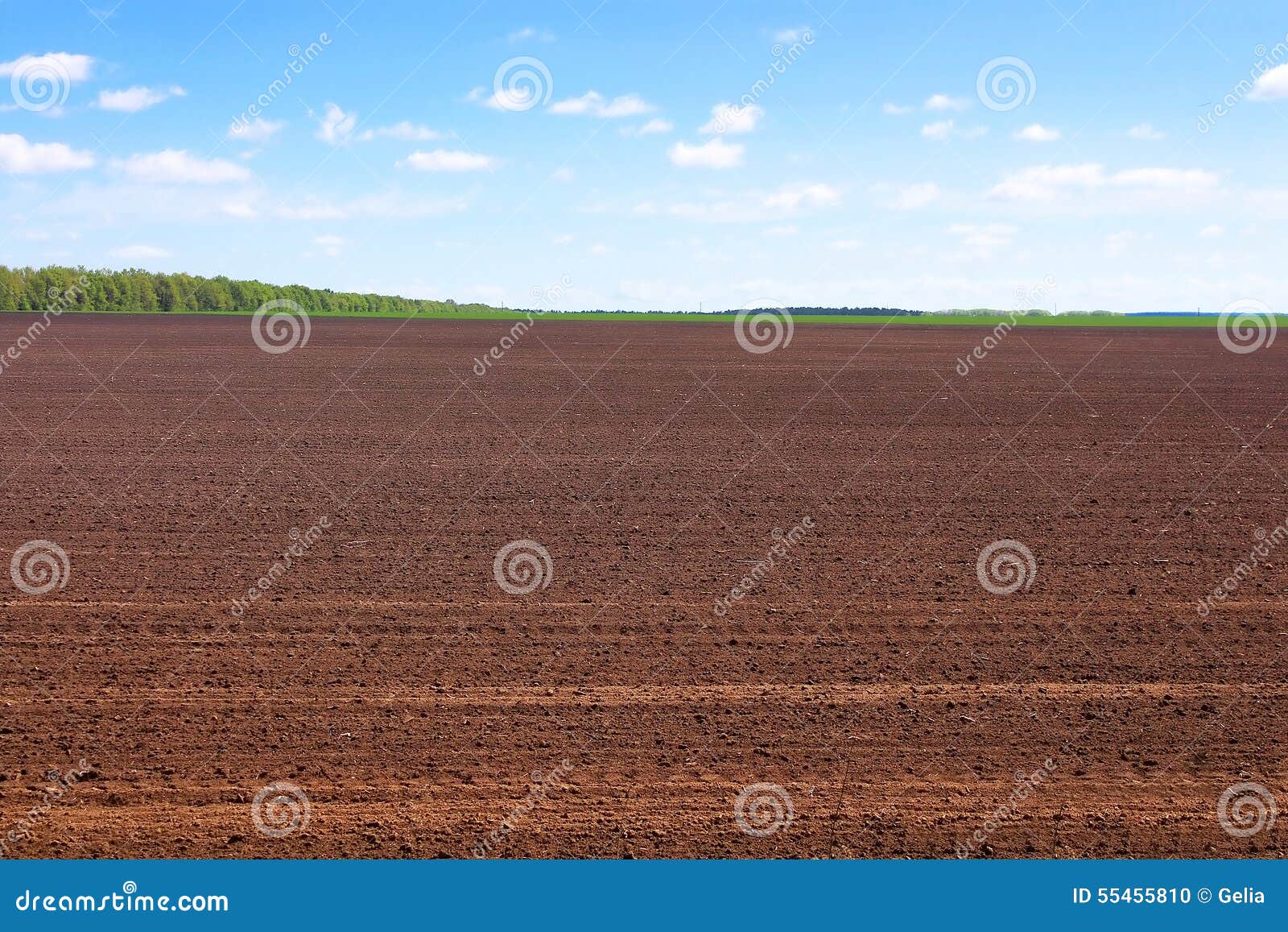 Plowed field in spring stock photo. Image of humus, cloudscape - 55455810