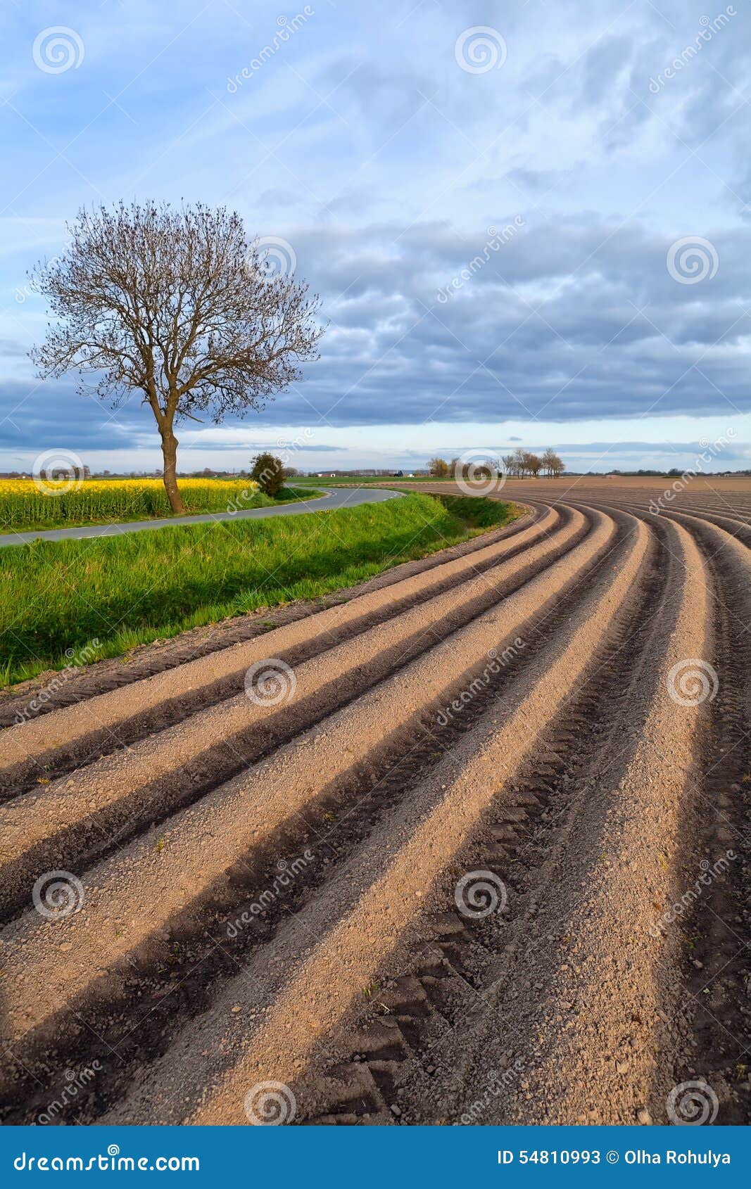 Plowed field in spring stock image. Image of seasonal - 54810993