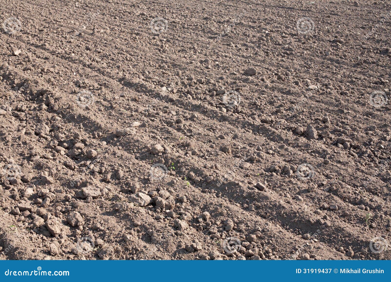 Plowed field stock image. Image of field, ground, horizontal - 31919437