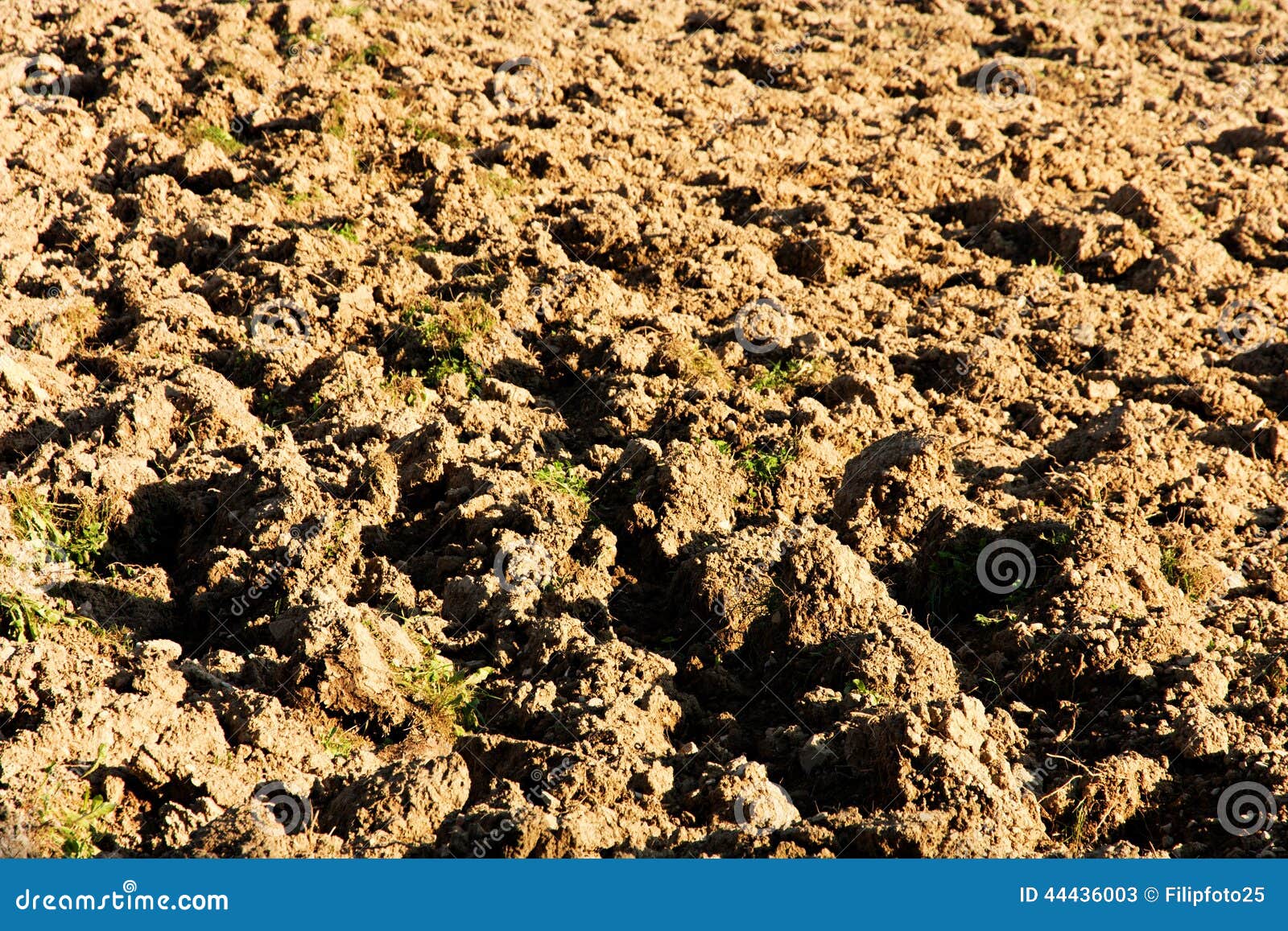 Plowed field stock image. Image of cultivated, campaign - 44436003