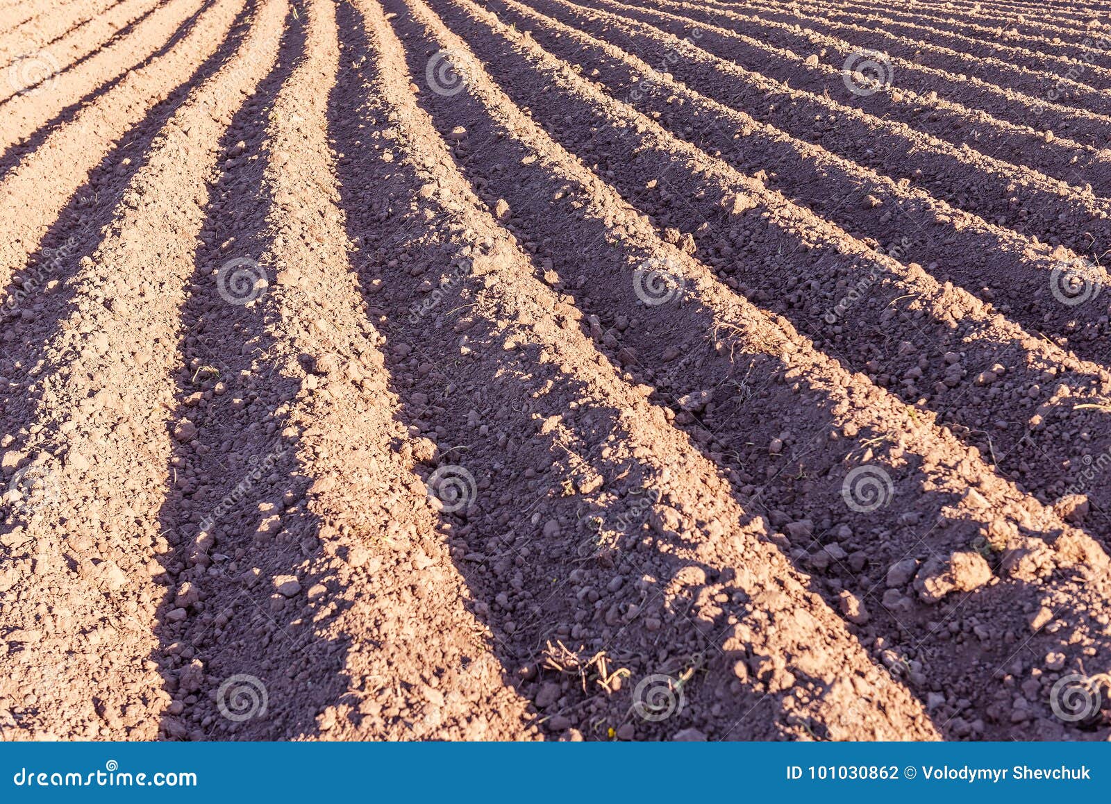 Plowed field texture stock photo. Image of country, natural - 101030862