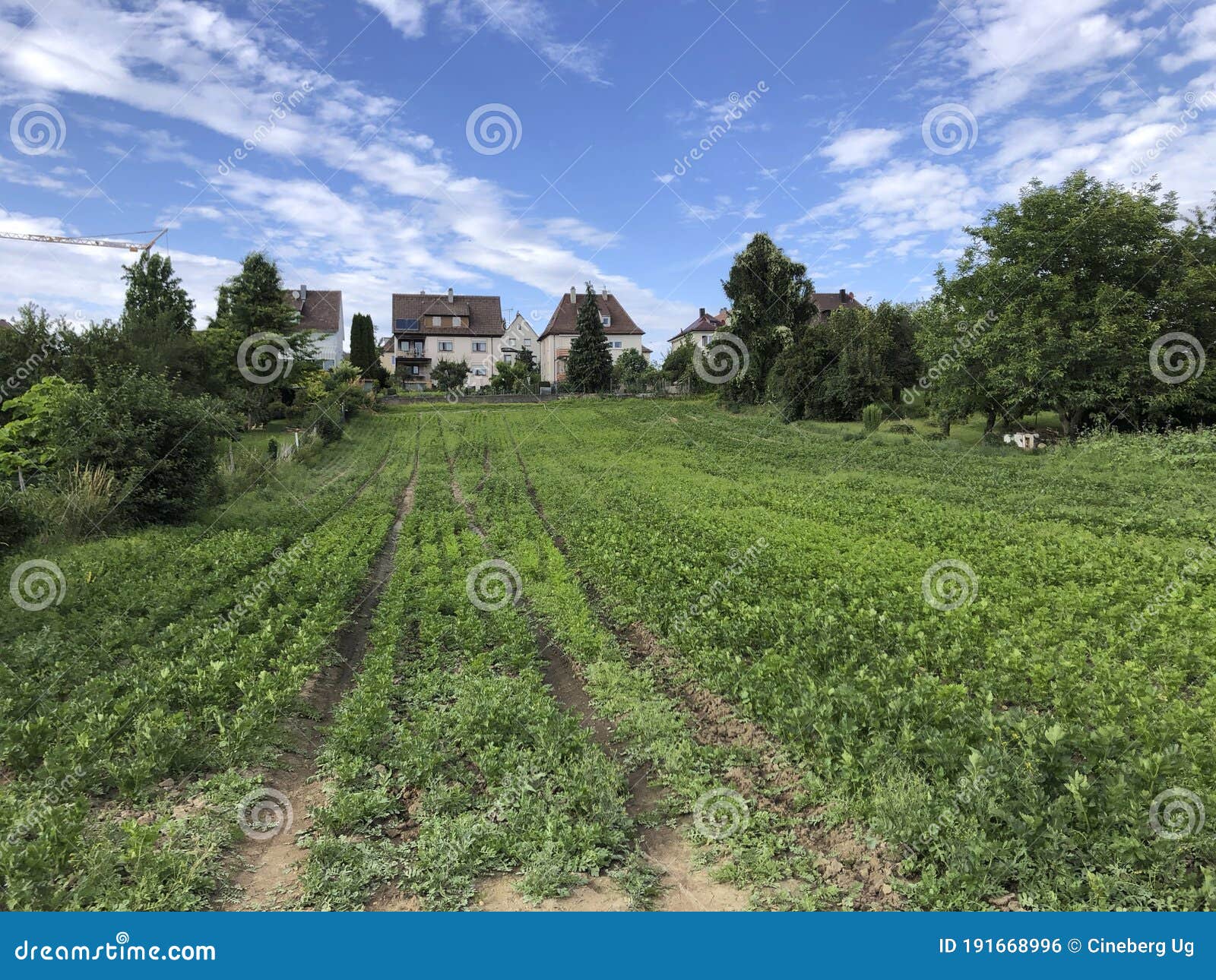 Plowed fields stock photo. Image of environment, cultivated - 191668996