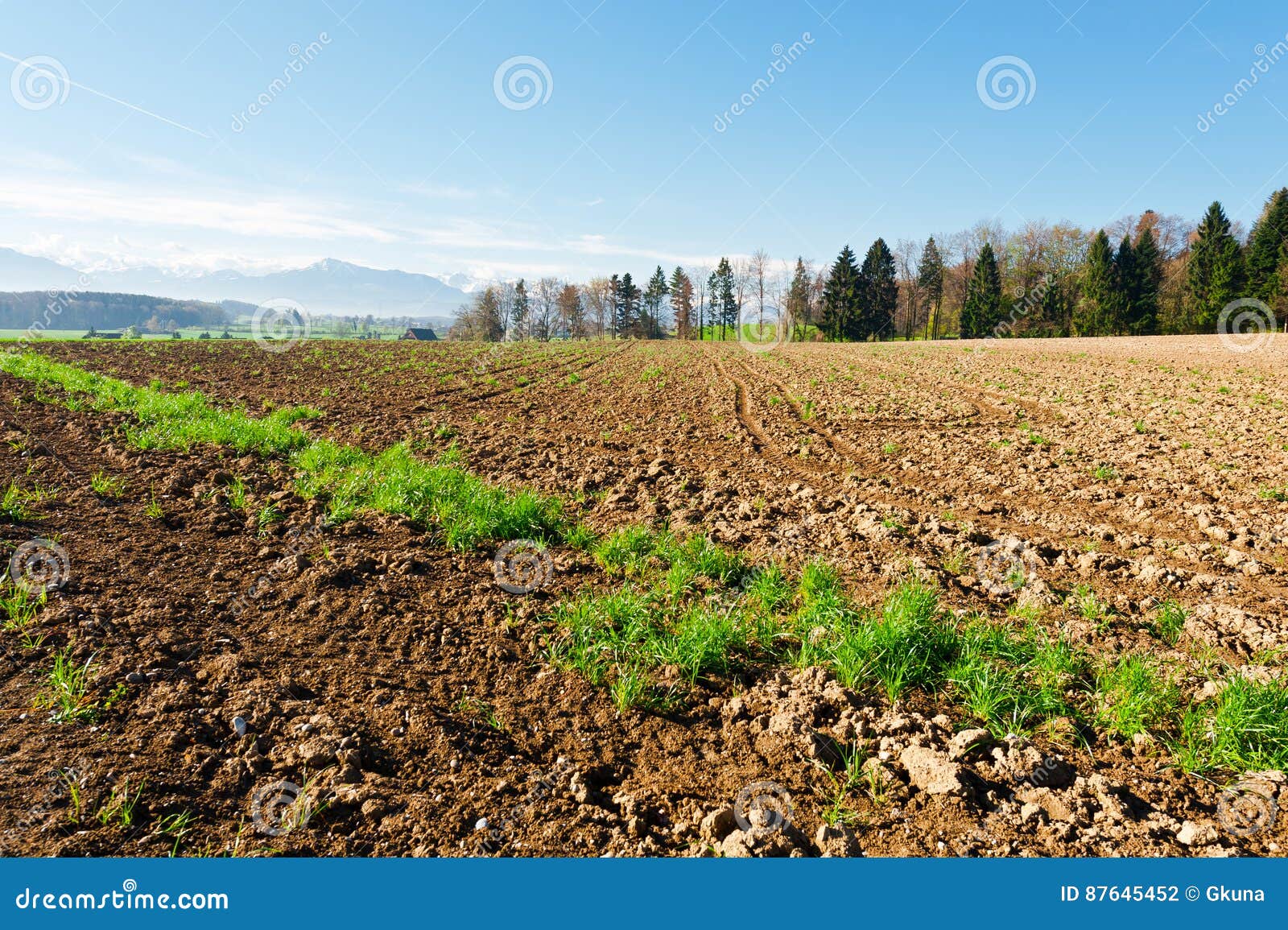 Plowed Fields stock photo. Image of alpine, foliage, farm - 87645452