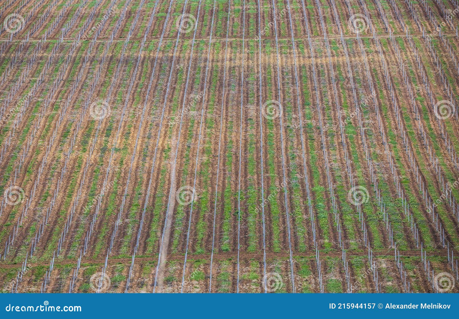 Plowed Fields in Spring with a Condensed Perspective Stock Image ...