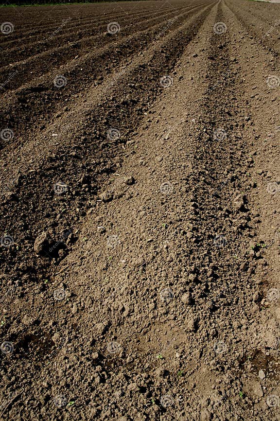Plowed ground stock photo. Image of furrow, countryside - 23071264