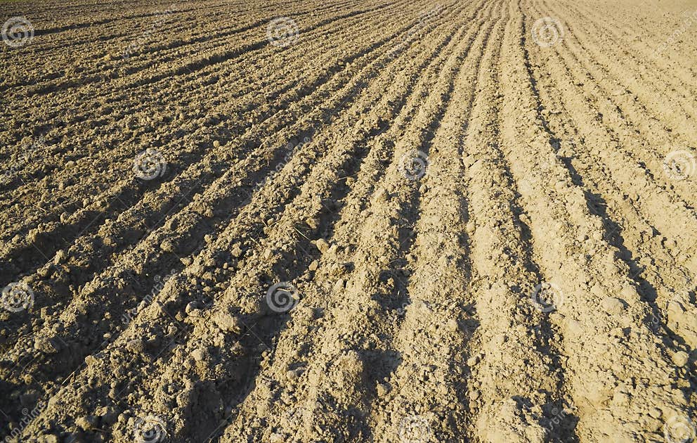 Plowed ground stock photo. Image of farmland, grow, industry - 25281632