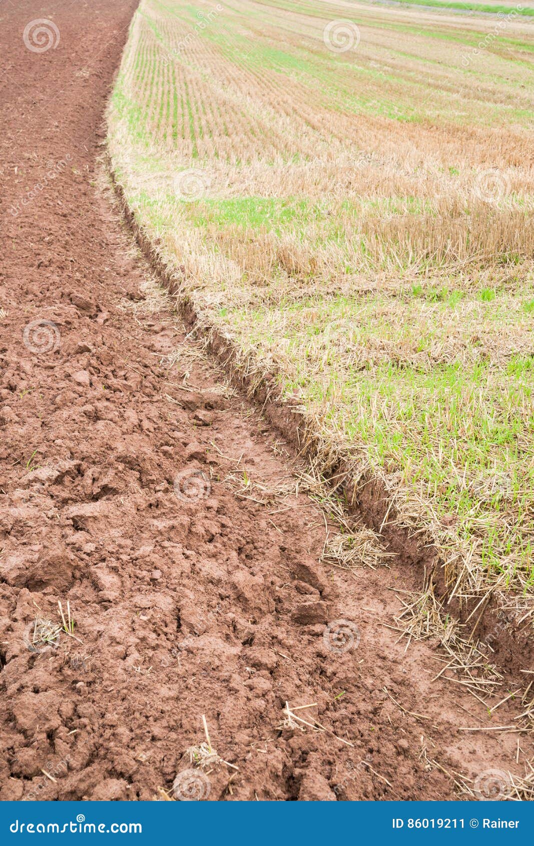 Plowed and harrowed field stock image. Image of copy - 86019211