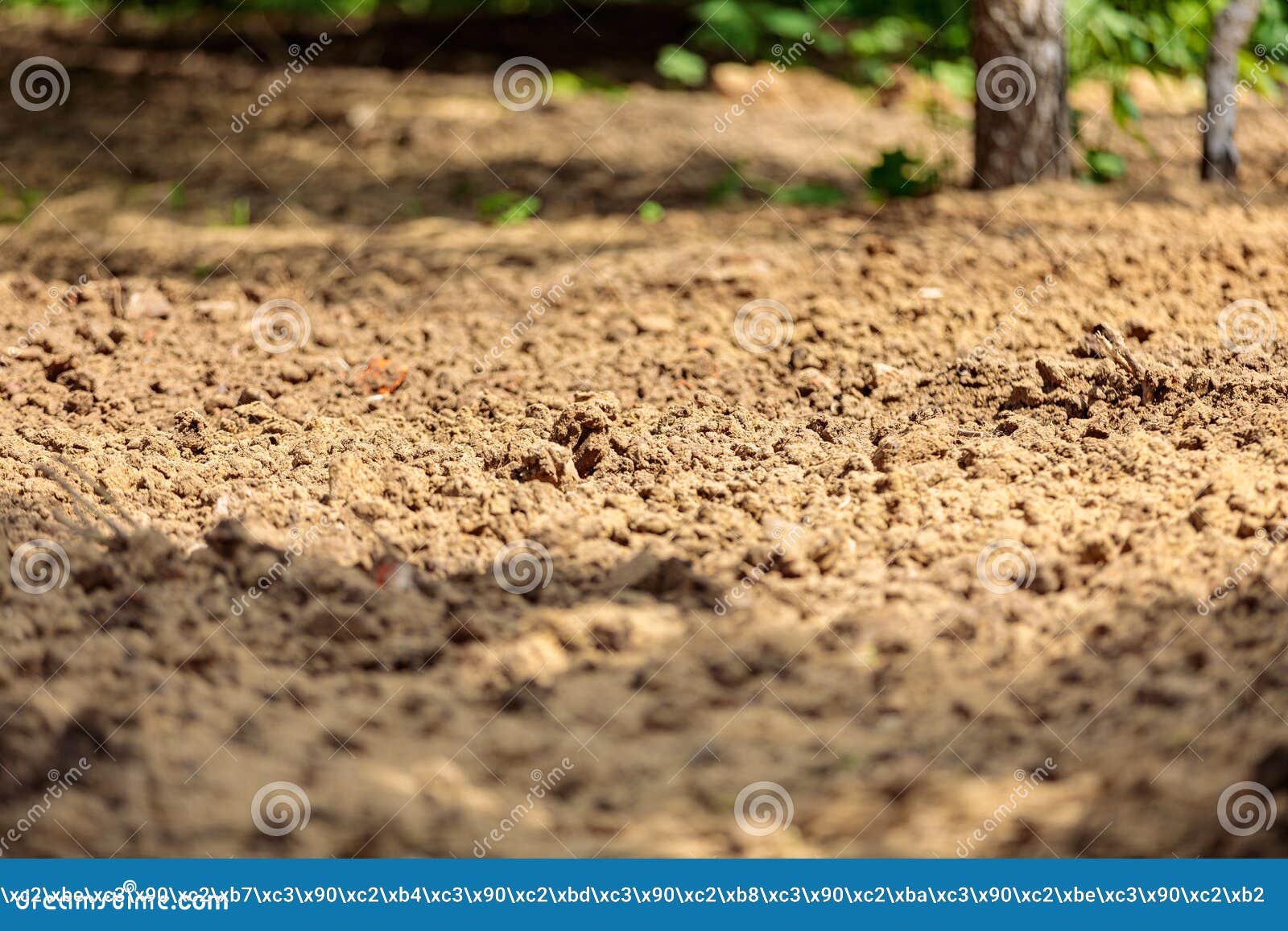 Plowed Land, Agricultural Work. Leveling the Soil on the Site Stock ...