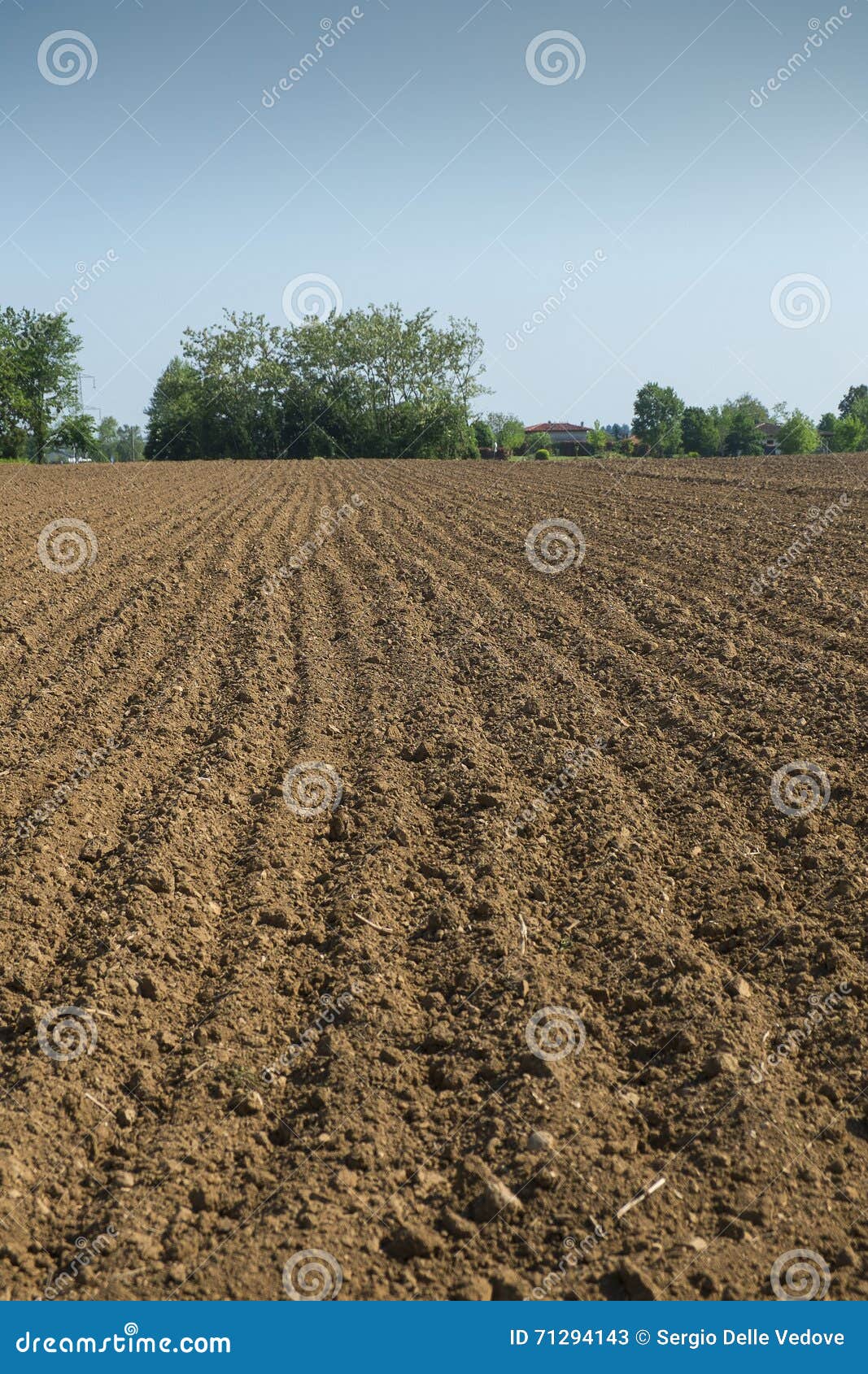 Plowed land stock image. Image of land, growth, landscape - 71294143