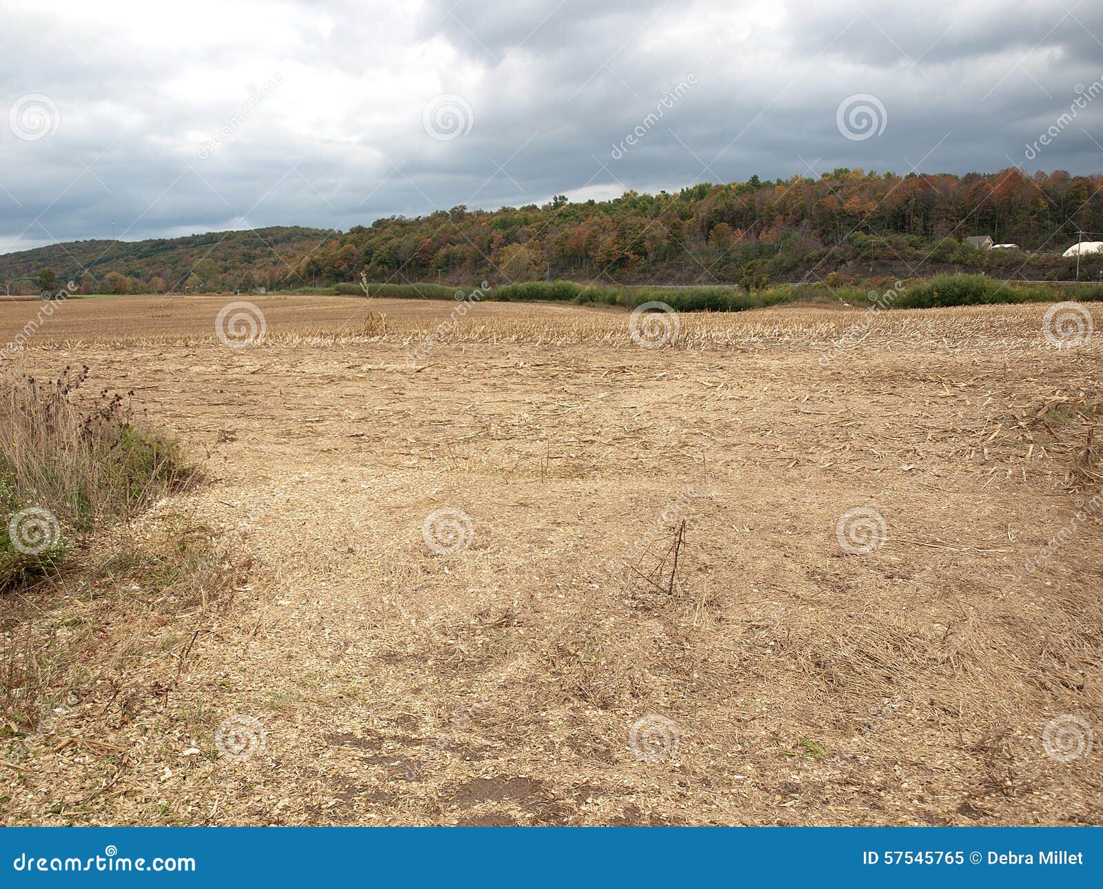 Plowed over field stock image. Image of country, seasons - 57545765