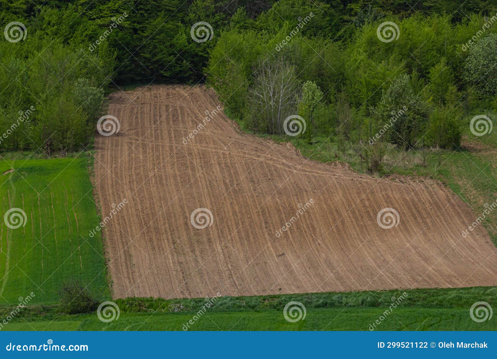 Plowed, Planted and Hilling Rows Black-earth Field. Ground Texture ...