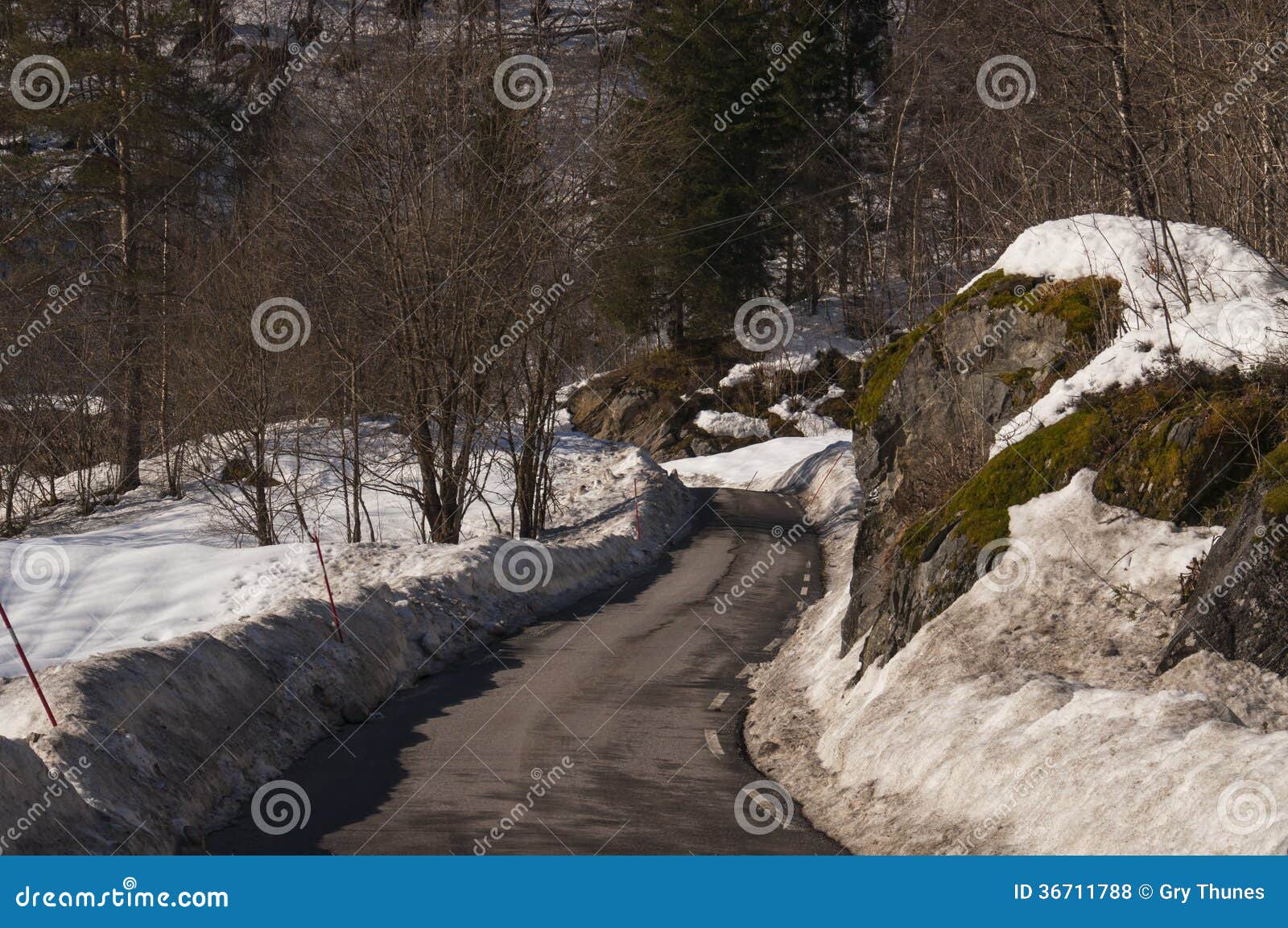 Plowed road stock photo. Image of rural, country, driving - 36711788