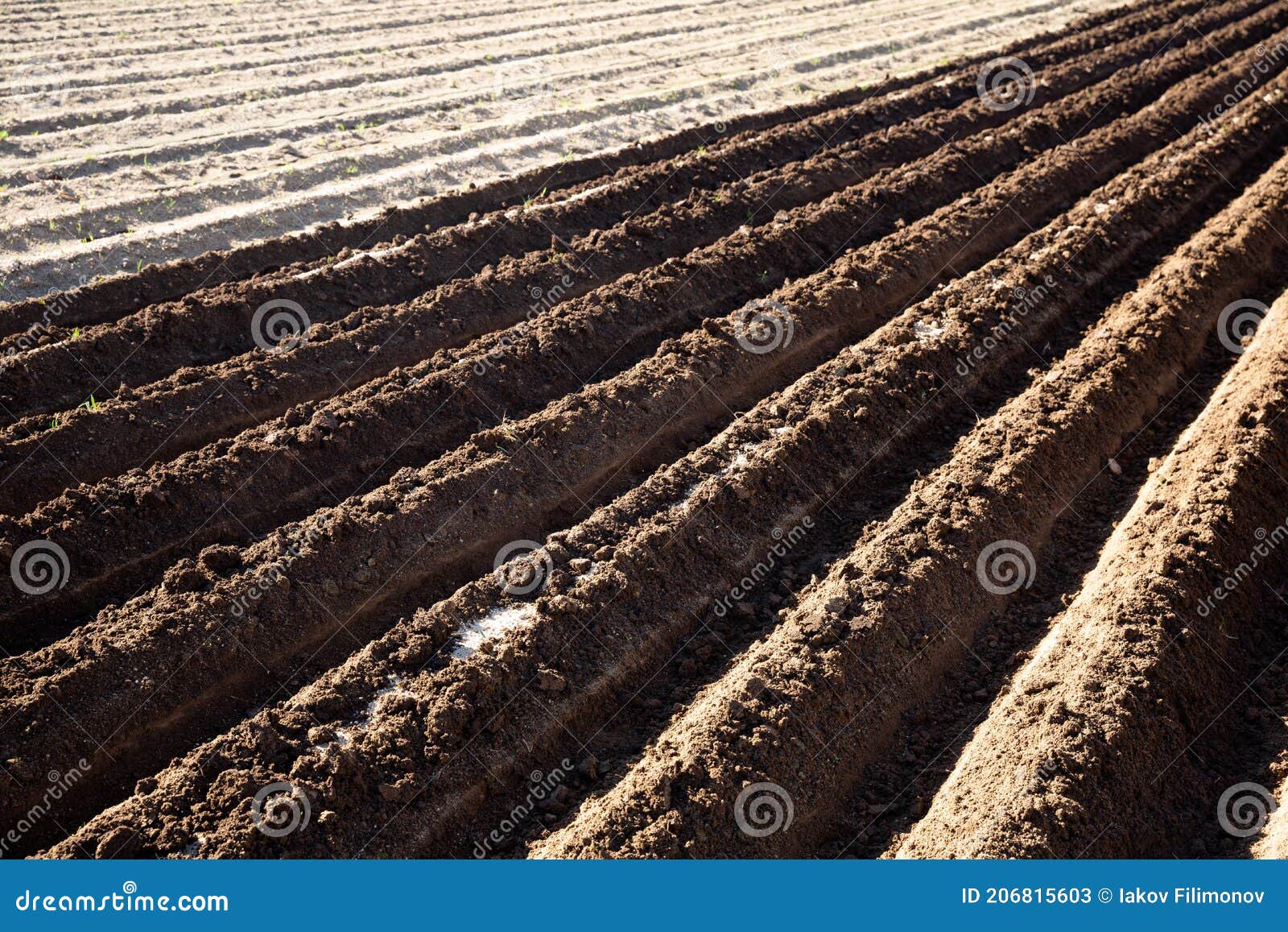 Plowed soil with furrows stock image. Image of production - 206815603