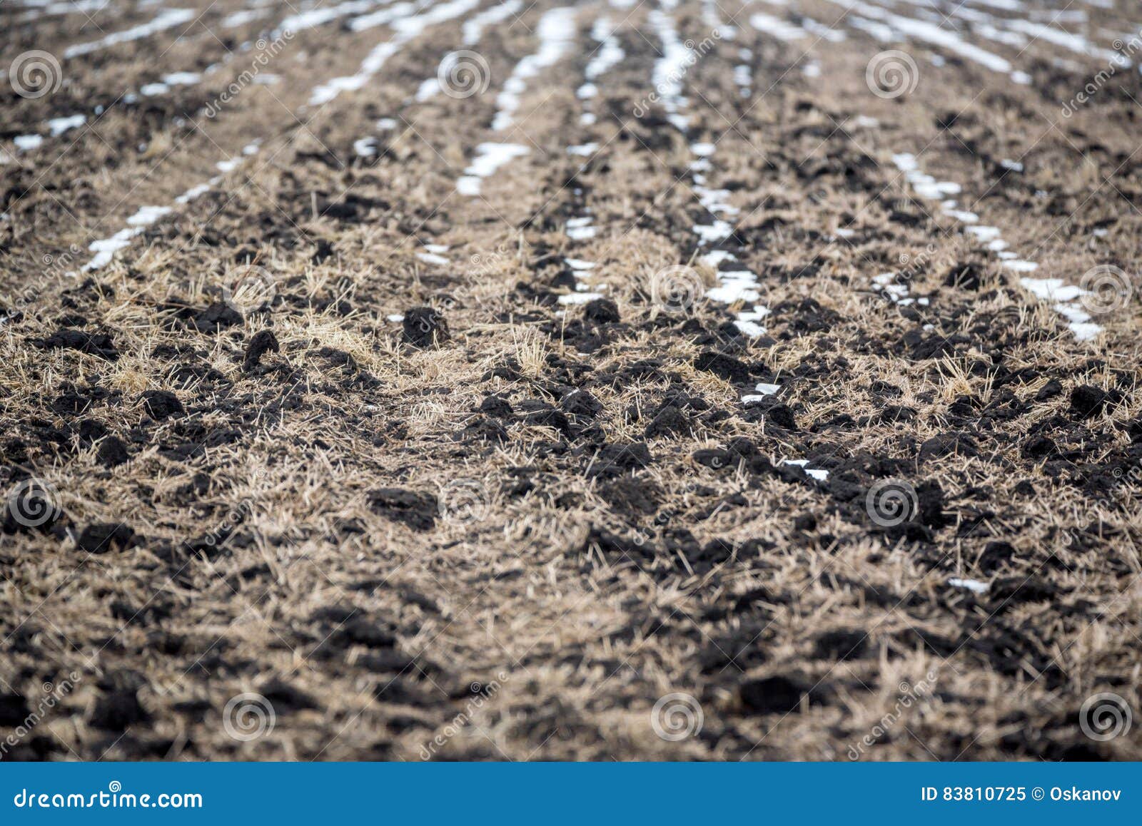 Plowed Soil for Key Farming Stock Image - Image of dirt, nature: 83810725