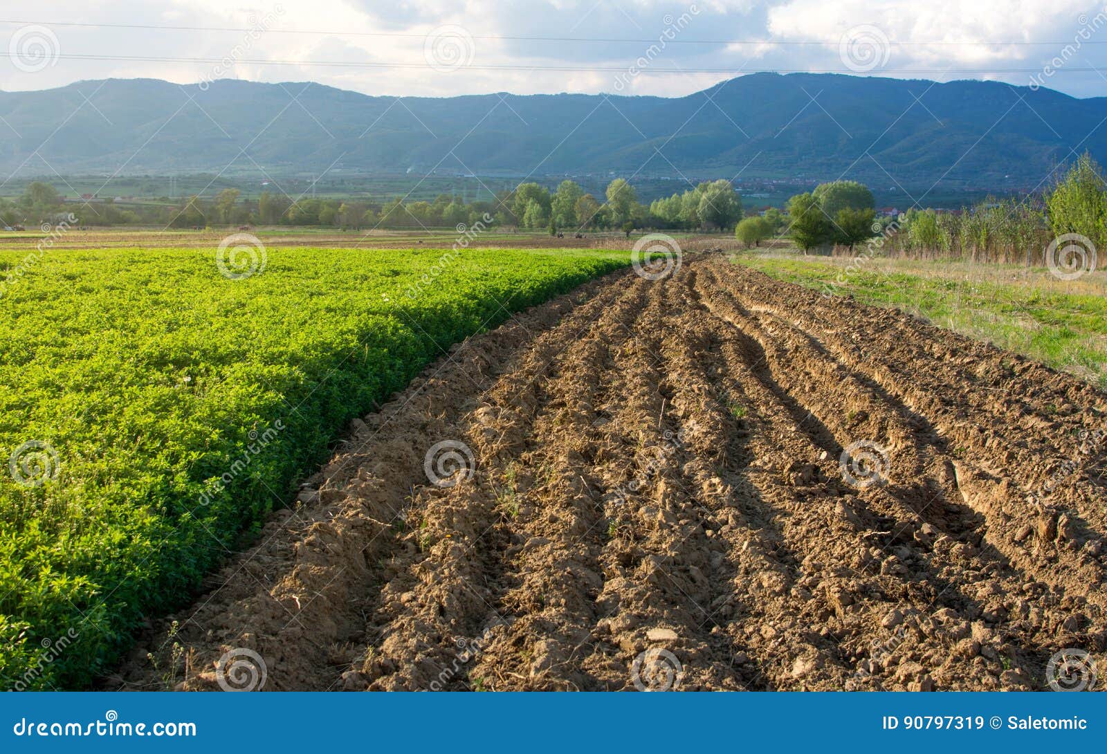 Plowed Soil Ready for Planting Vegetables Stock Image - Image of ...