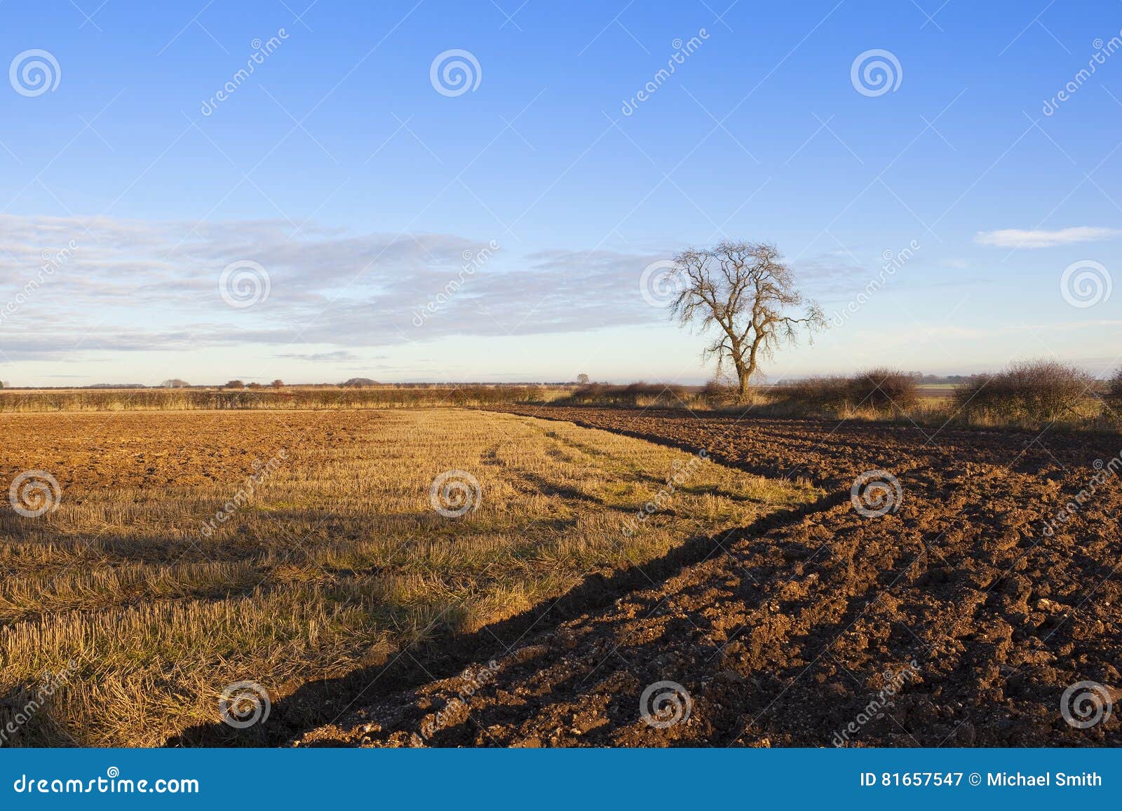 Plowed Soil and Straw Stubble Stock Image - Image of crops, fields ...