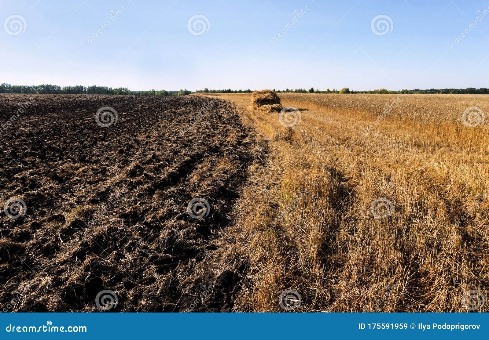 Plowed wheat field stock image. Image of plowed, soil - 175591959