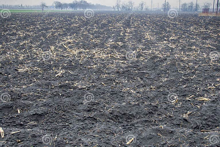 Plowing Corn Fields and Winter Fallow Land Stock Photo - Image of ...