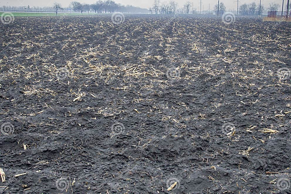 Plowing Corn Fields and Winter Fallow Land Stock Photo - Image of ...