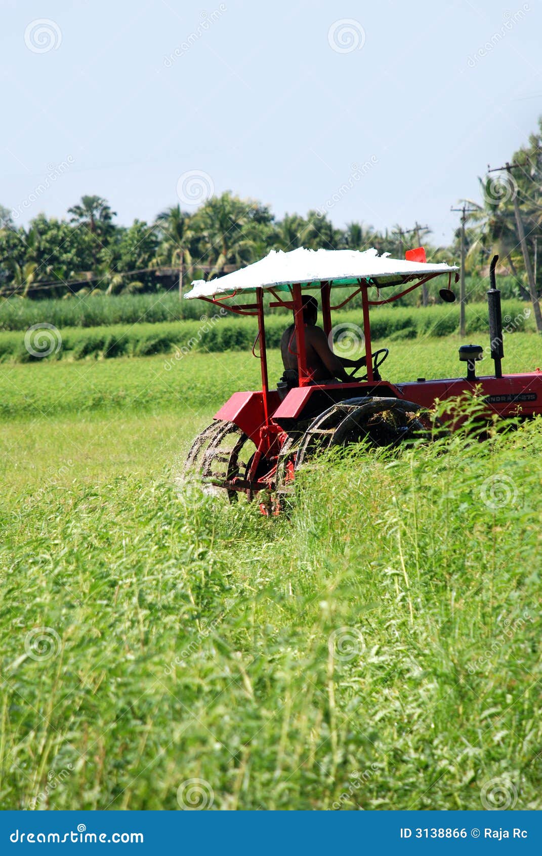 Plowing farmer stock photo. Image of agriculture, plant - 3138866