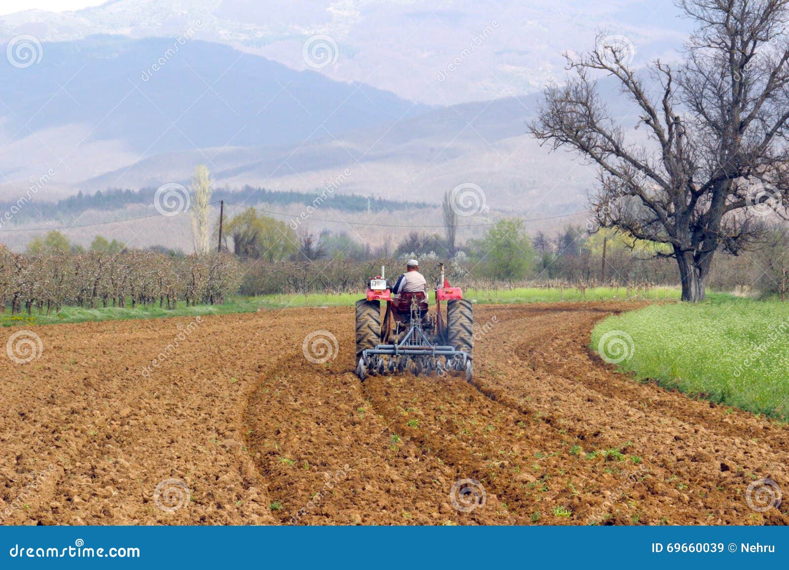 Plowing field in spring stock image. Image of blade, seeding - 69660039
