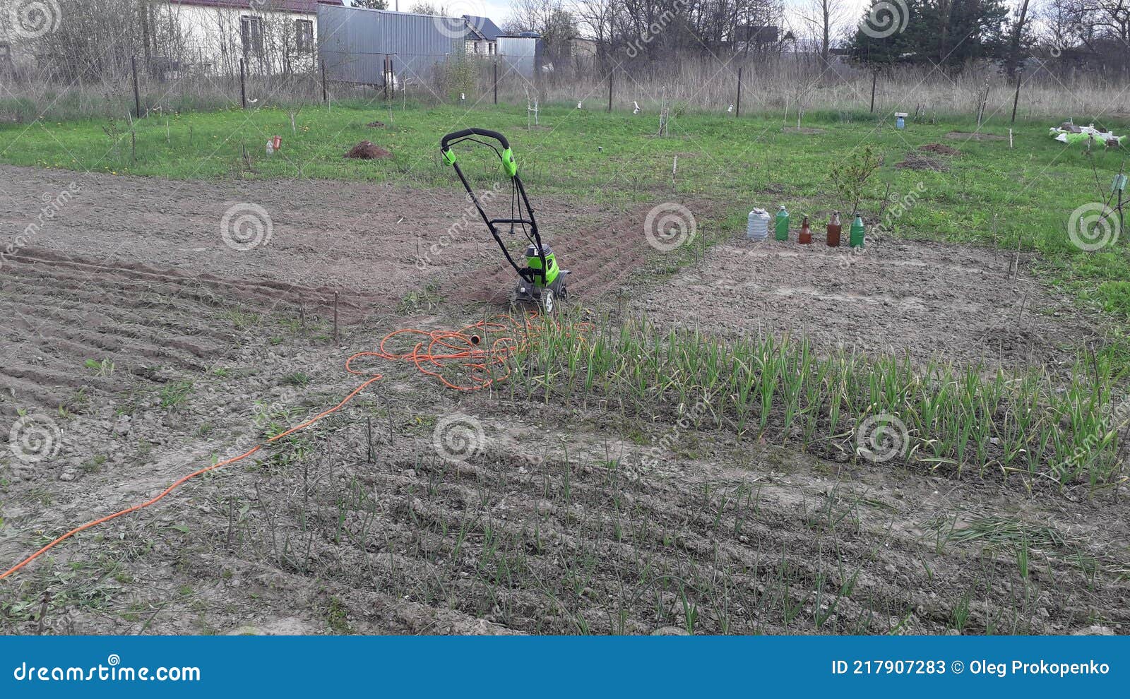 Plowing a Garden with a Hand Cultivator Stock Image - Image of ...