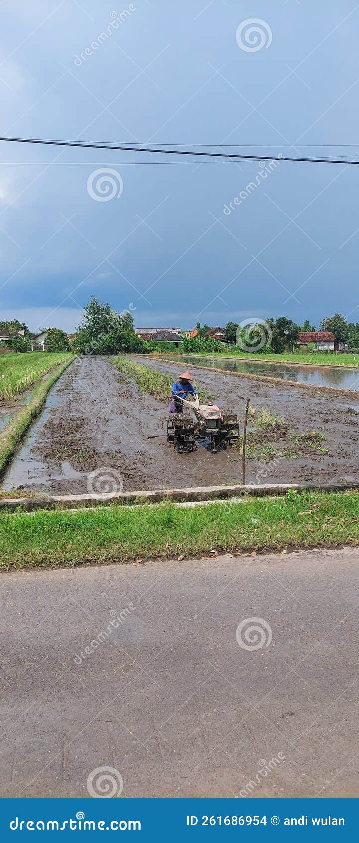 Plowing a paddy field editorial stock image. Image of addition - 261686954