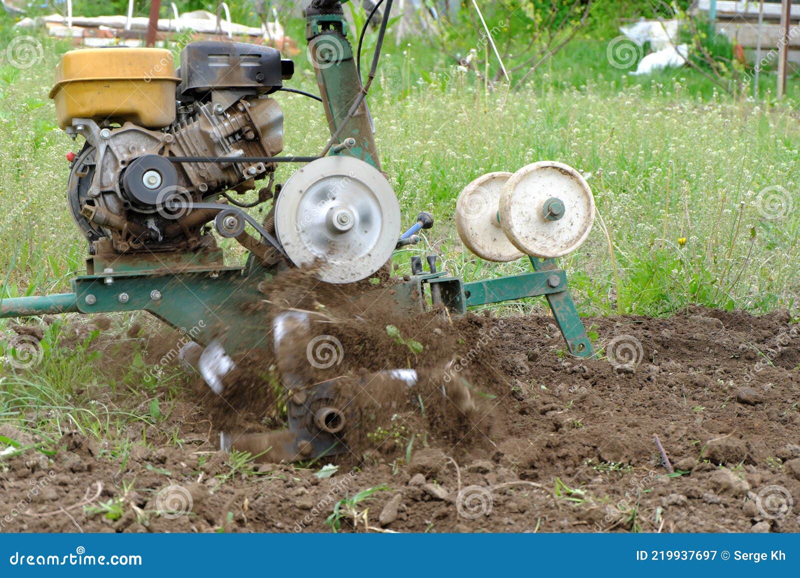 Gasoline Cultivator With Plow Potato Digger Makes Furrow In Soil Of ...