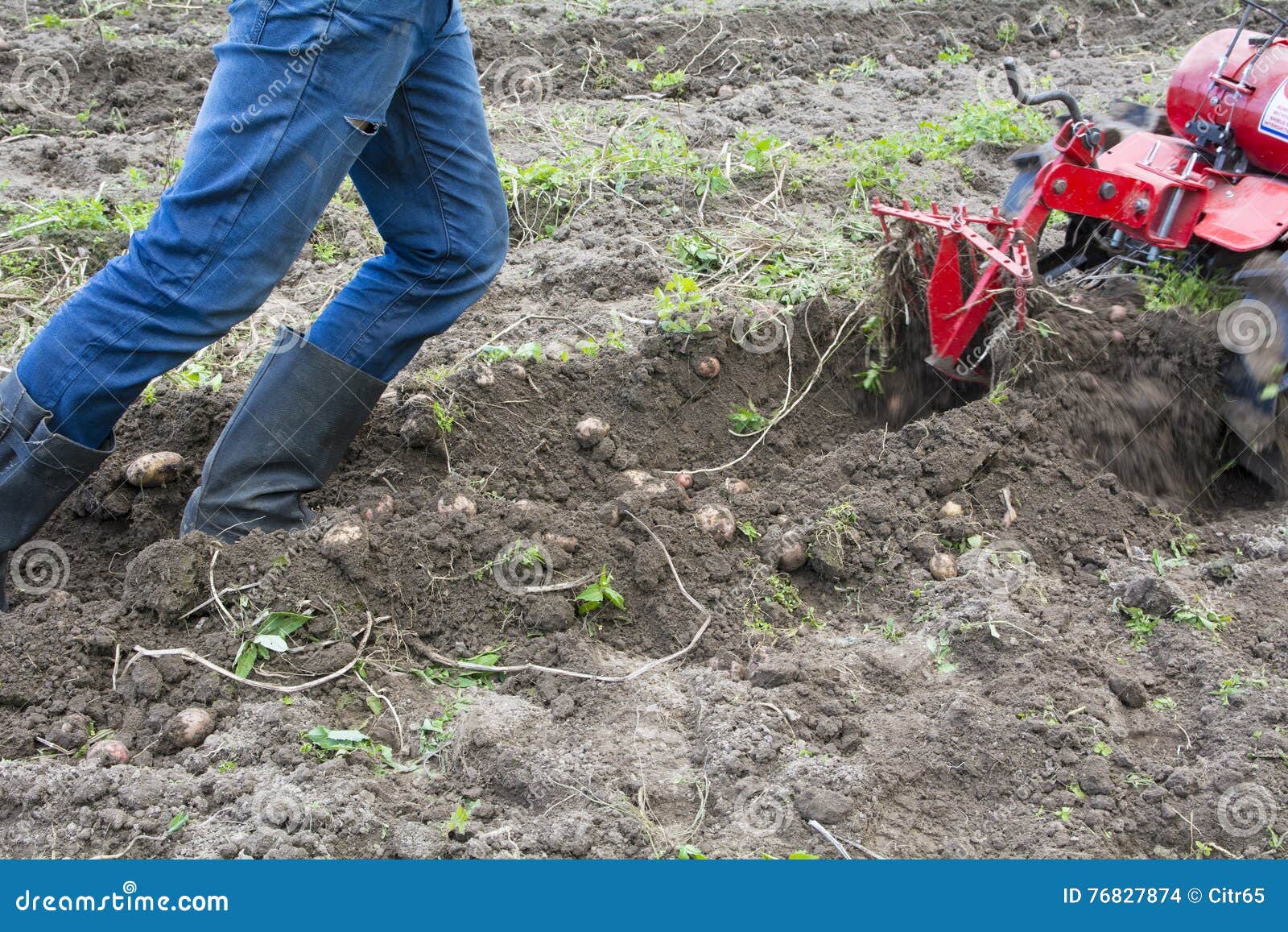 Plowman stock photo. Image of earth, harvest, cultivation - 76827874