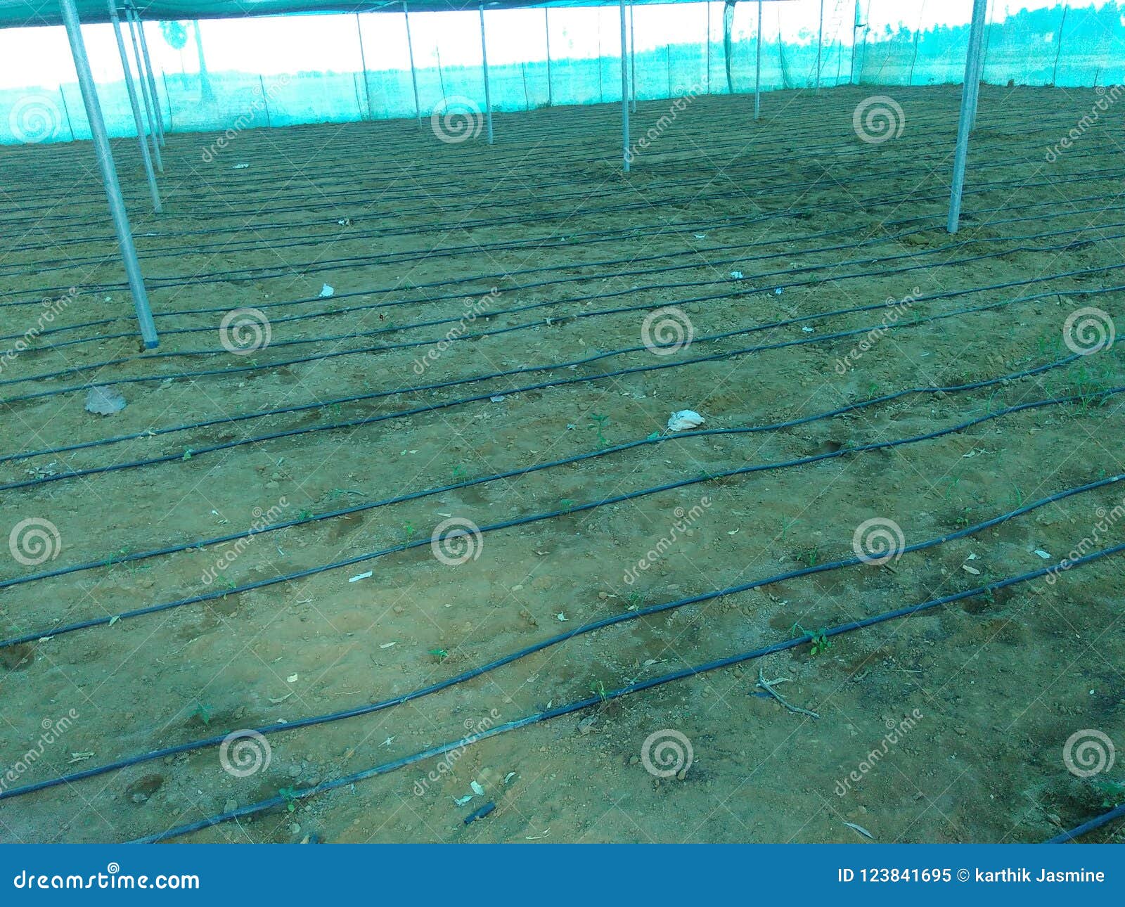 Ploy House Drip Irrigation System Stock Image - Image of irrigation ...