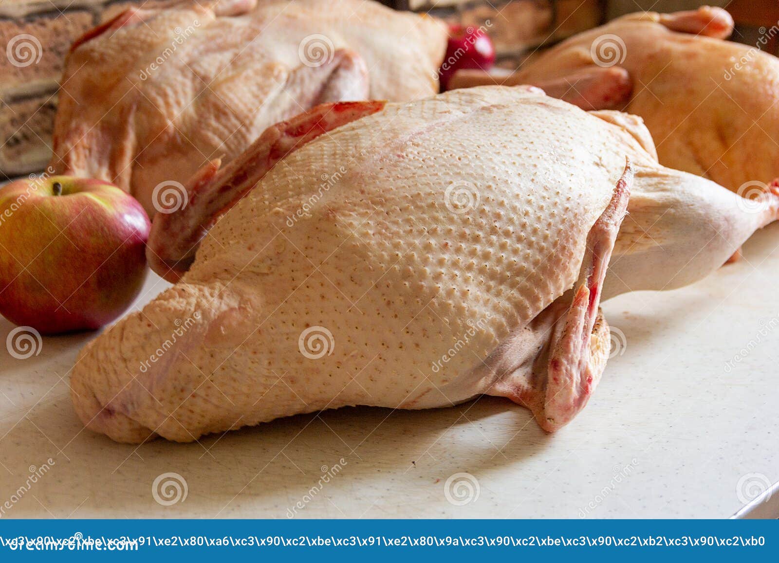 Plucked and Gutted Goose Carcasses Stock Photo - Image of plucked ...