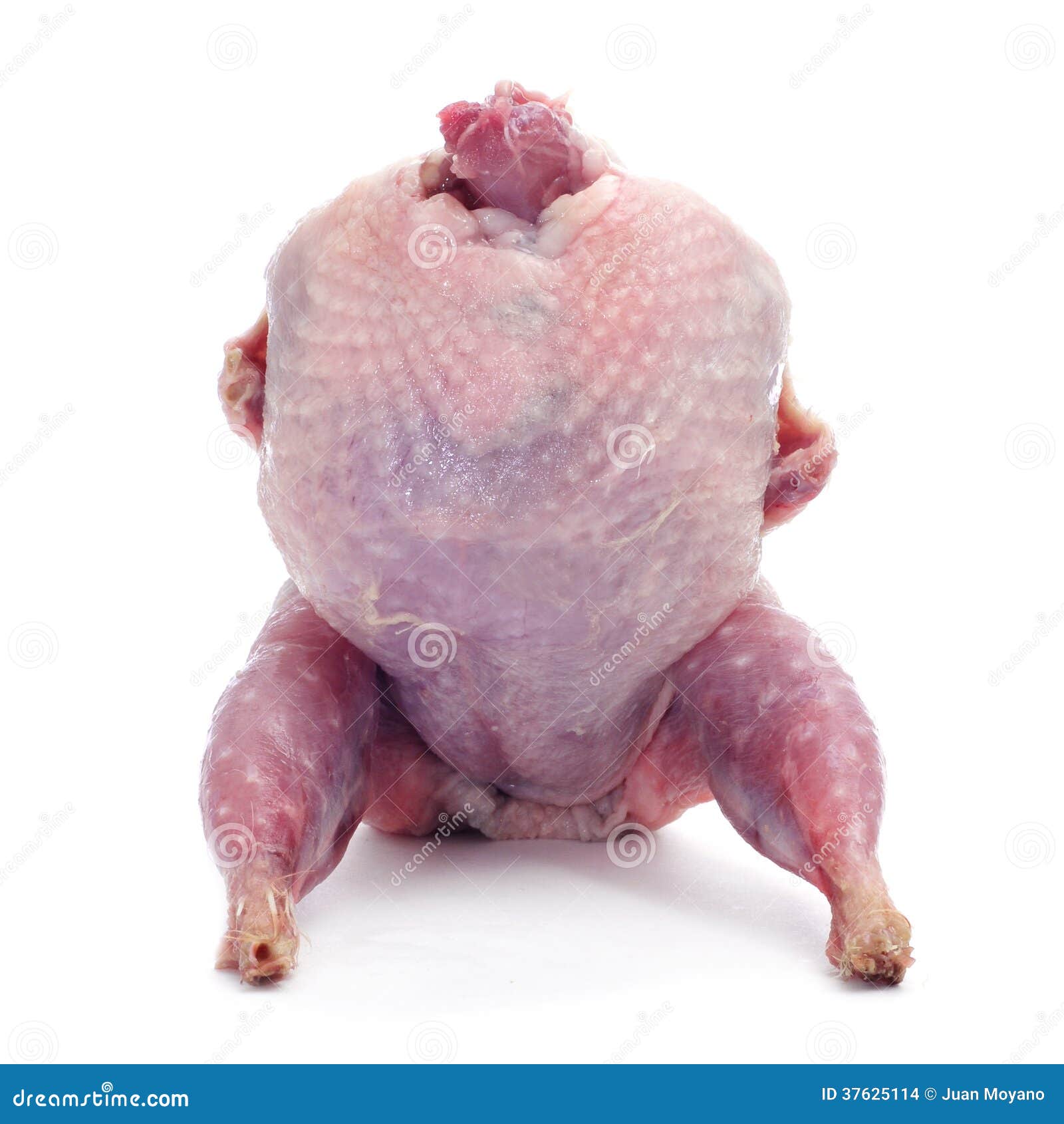 Plucked quail stock photo. Image of gastronomy, barbecuing - 37625114