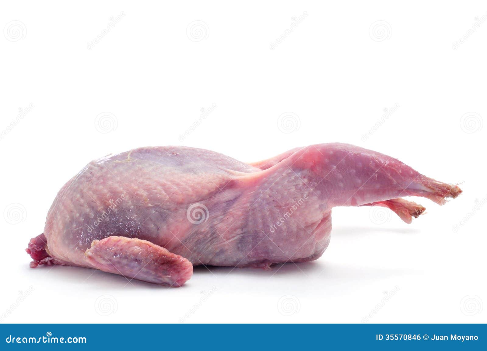 Plucked quail stock photo. Image of bird, food, barbecuing - 35570846