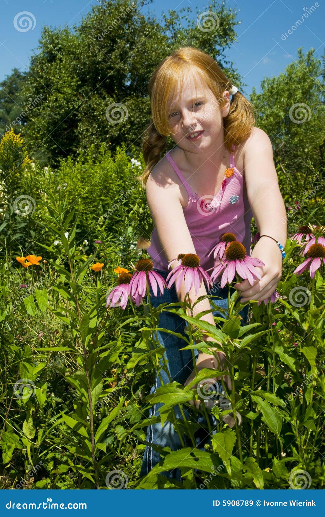 Plucking flowers stock image. Image of hair, sunny, flowers - 5908789