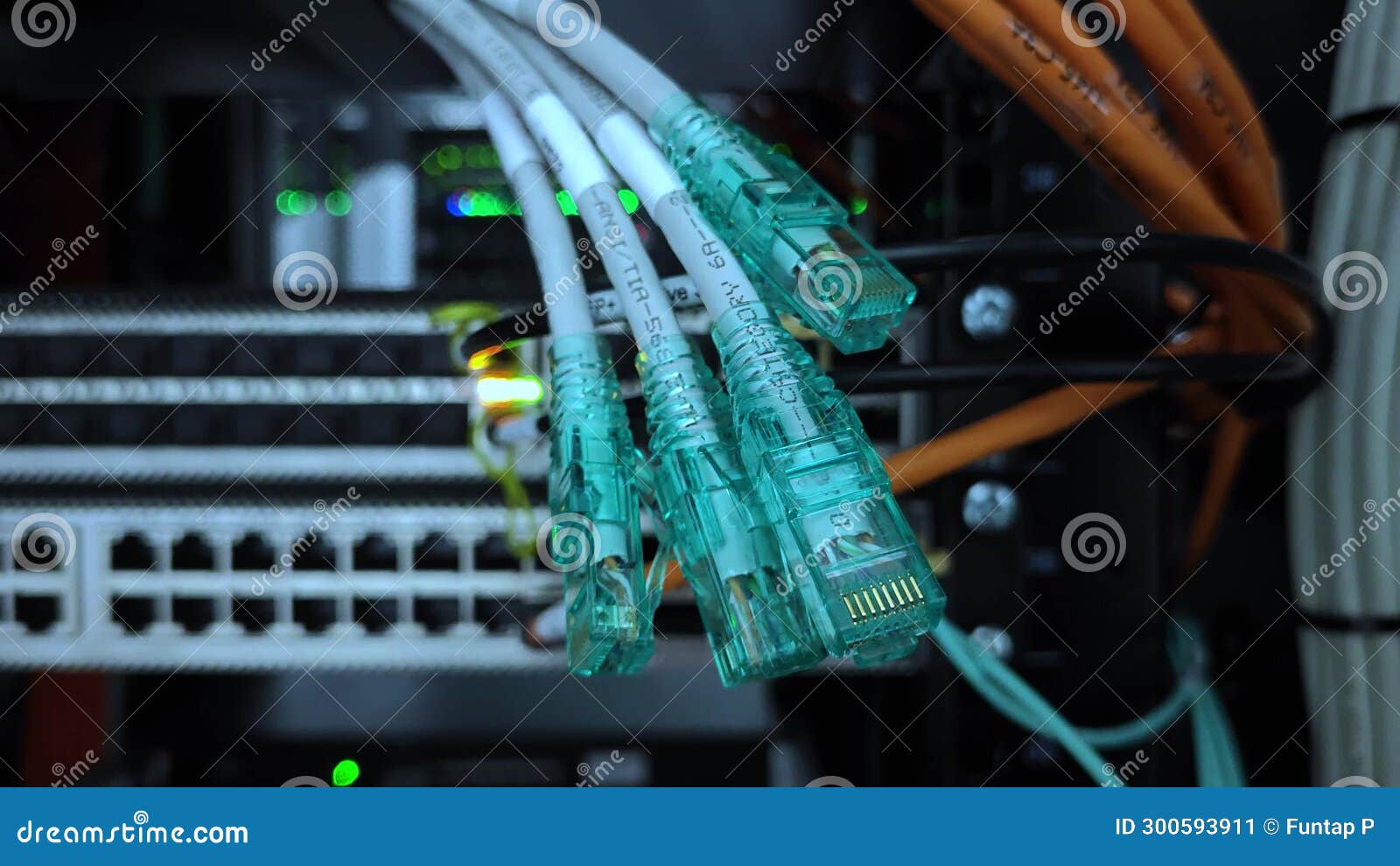 Plug in Cable on Port Server Room. Close-up Cable. Stock Video - Video ...