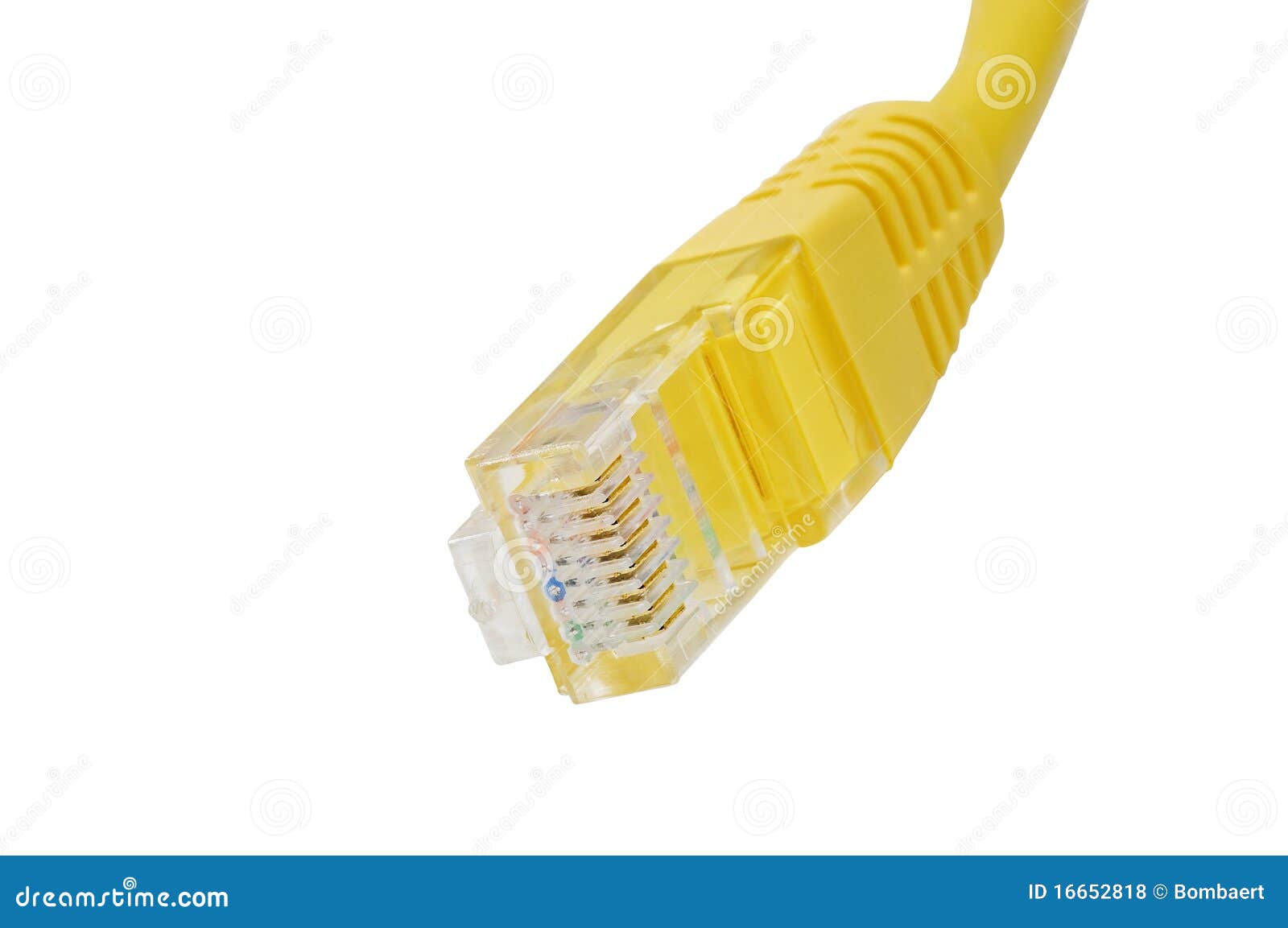 Plug and Ethernet Cable (clipping Path) Stock Photo - Image of ...