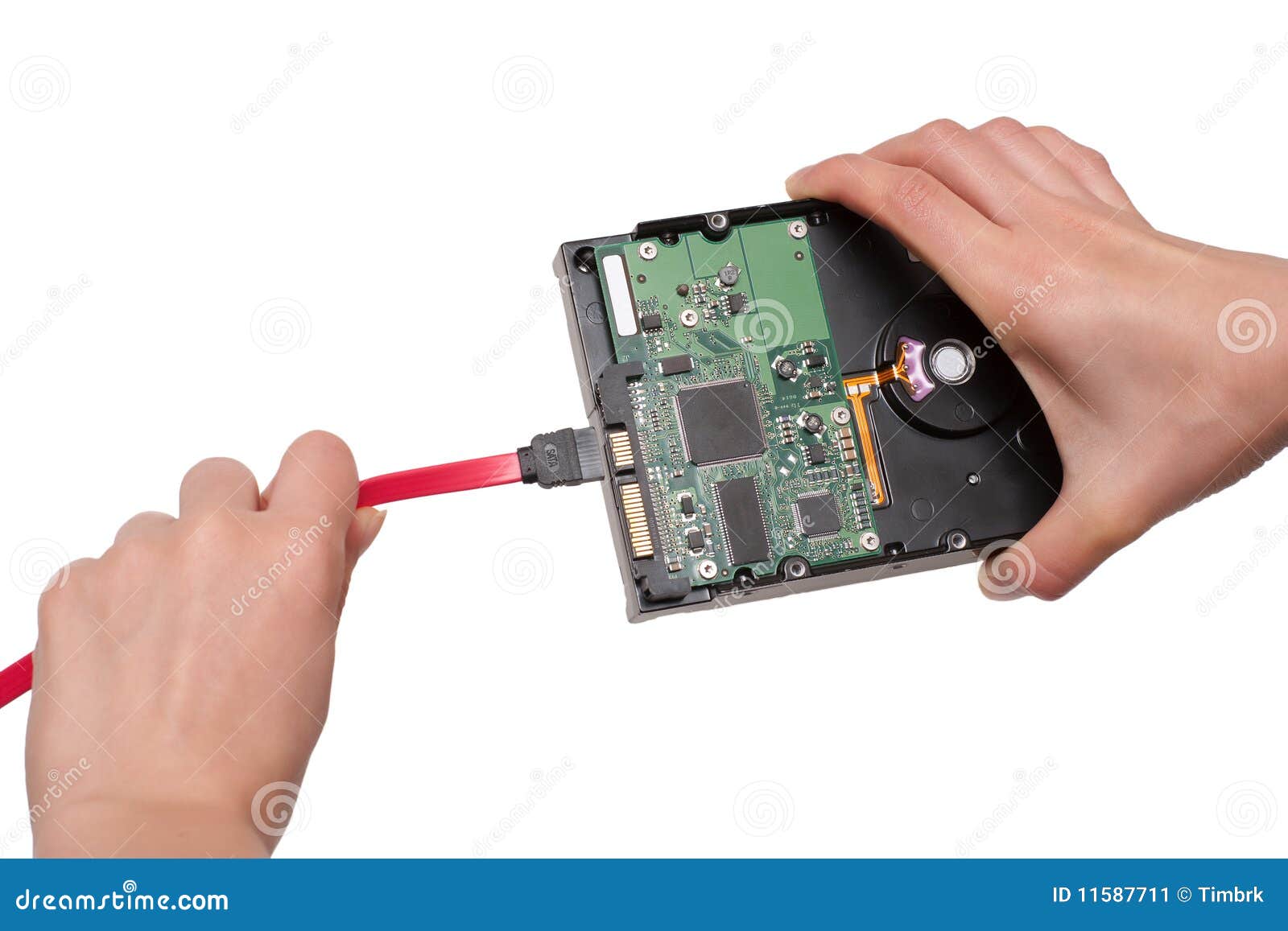 Plug in HDD stock image. Image of computer, hard, hand - 11587711